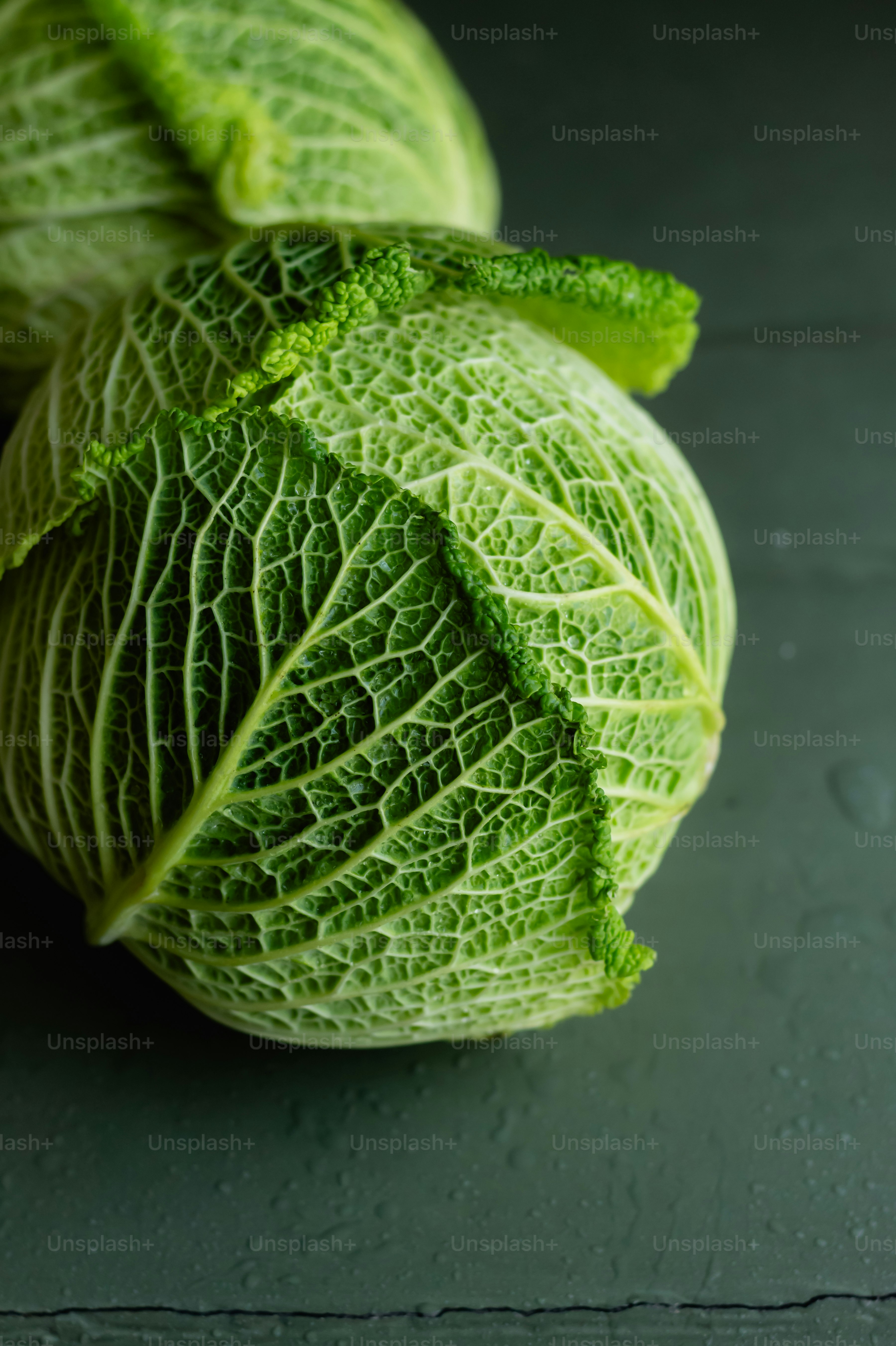 Foto Un primer plano de una cabeza de repollo – Repollo Imagen en Unsplash