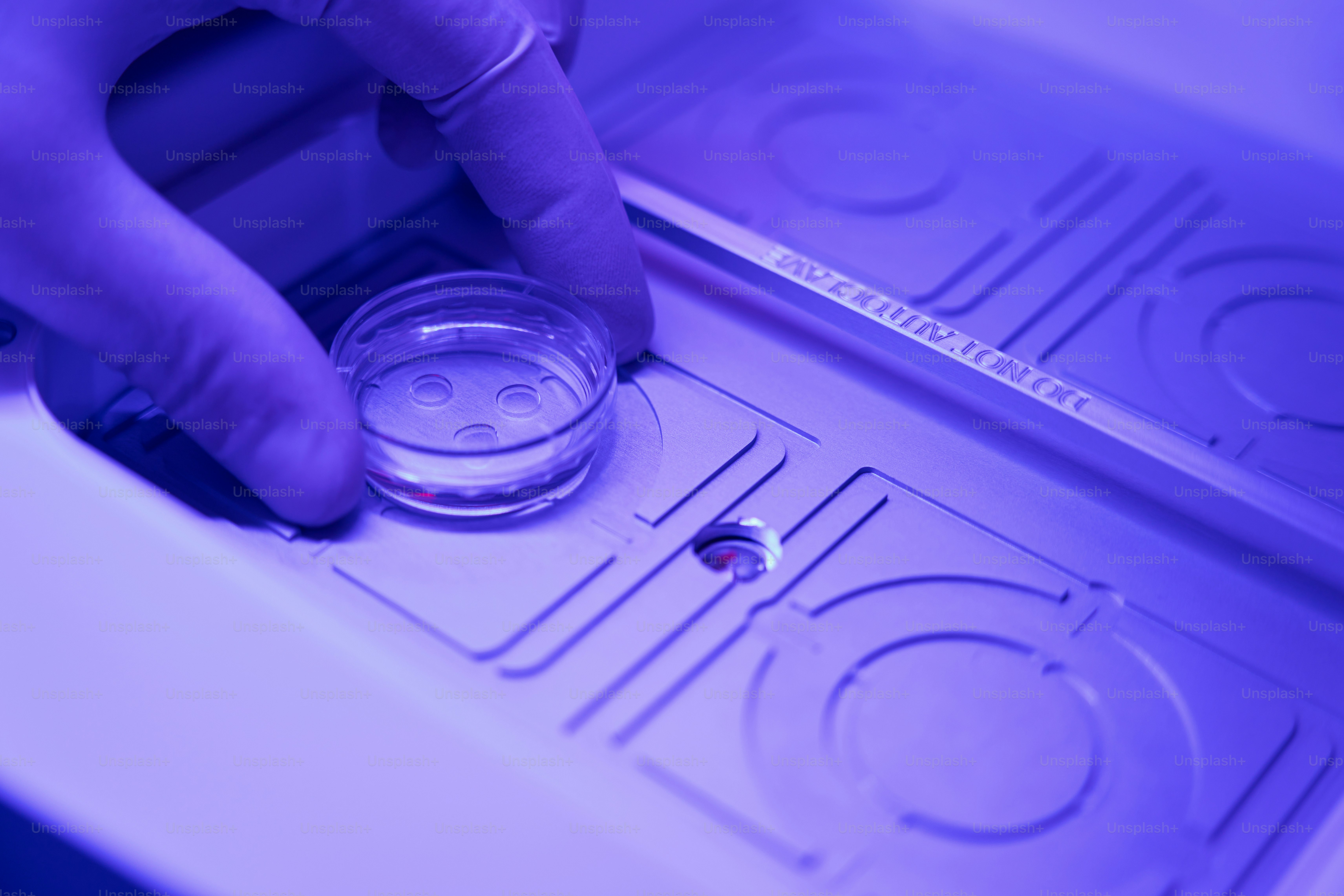 Embryology laboratory technician placing petri dish with embryos into ...