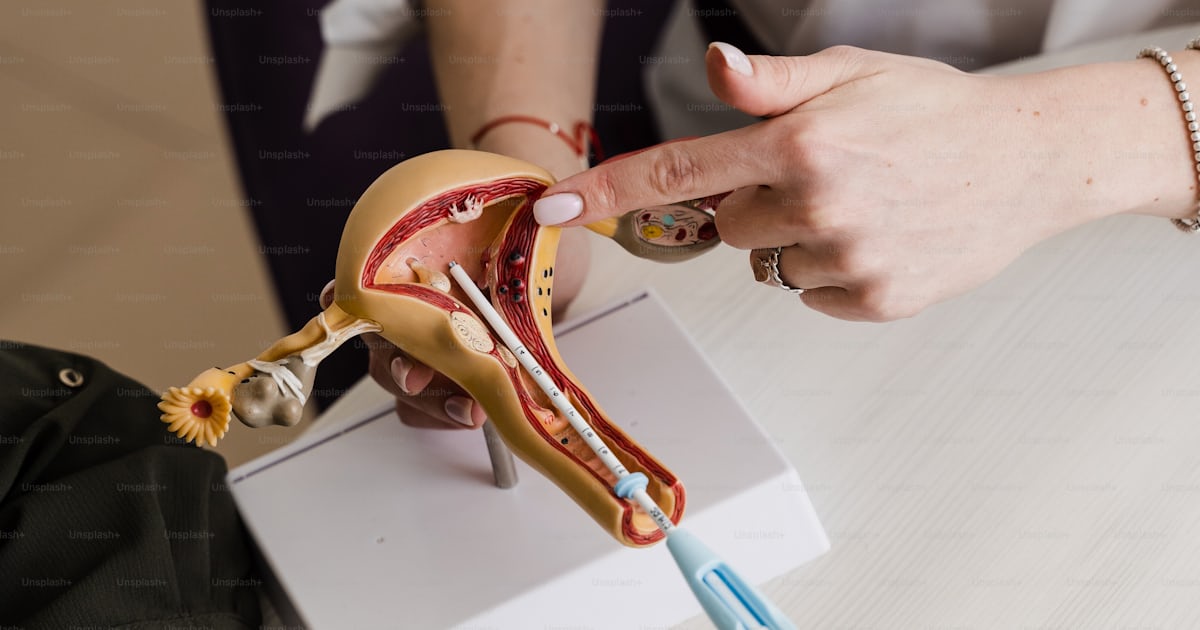 Close-up insert of intrauterine device IUD into your uterus model ... Close-up insert of intrauterine device IUD into your uterus model ...