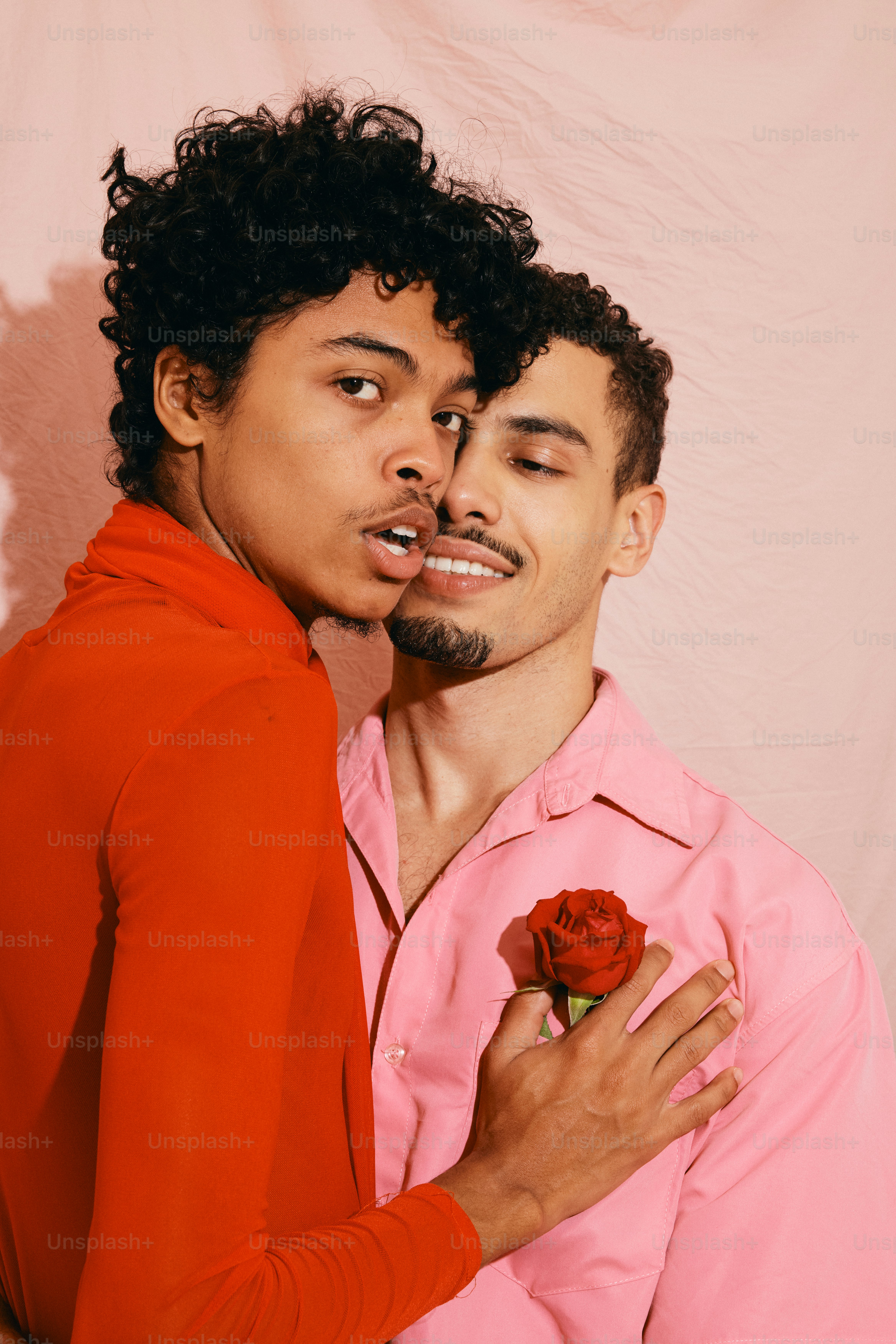 Two hands holding a single red rose against a pink background photo ...