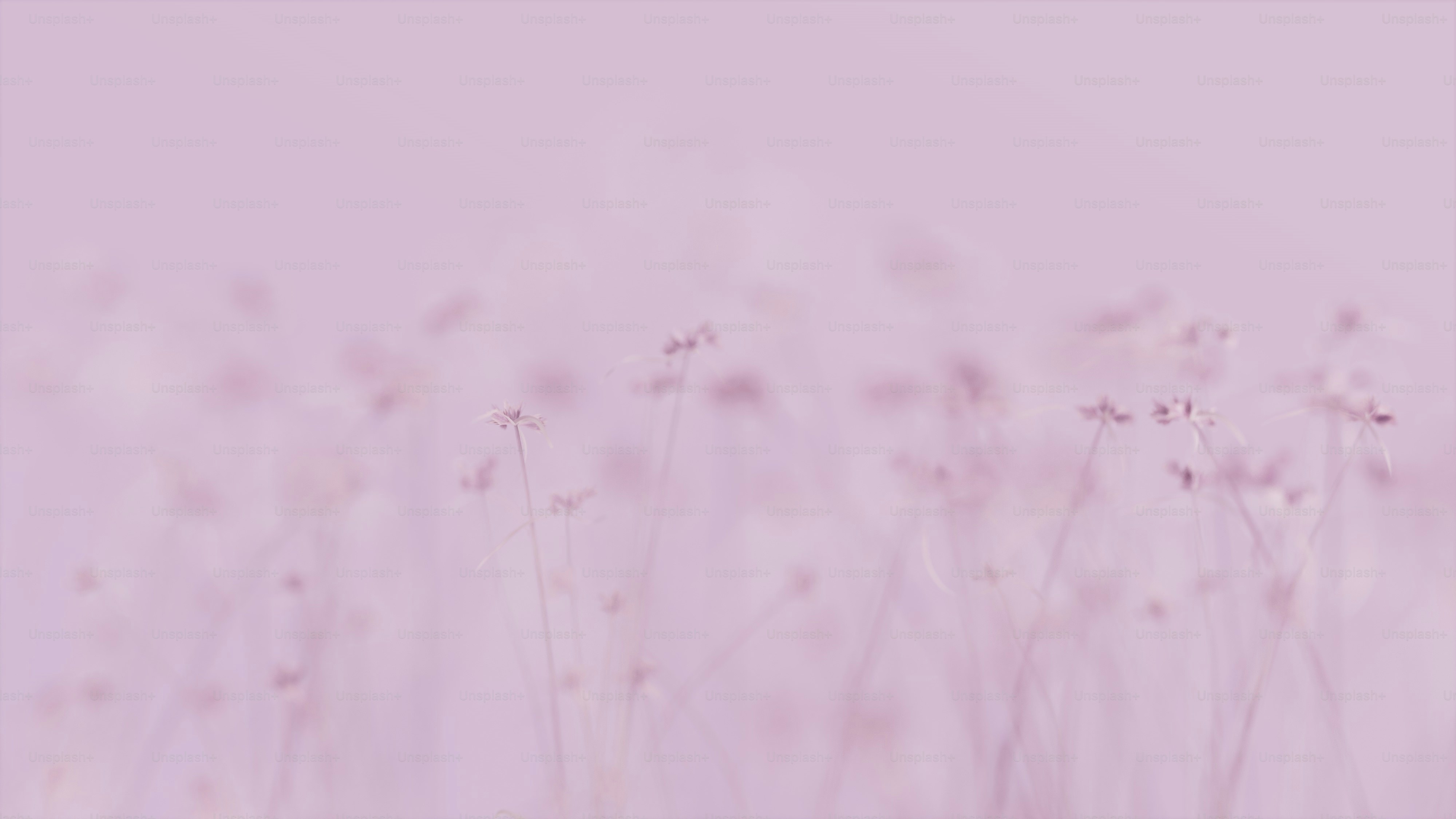 Dreamy Wallpaper Pictures | Download Free Images on Unsplash