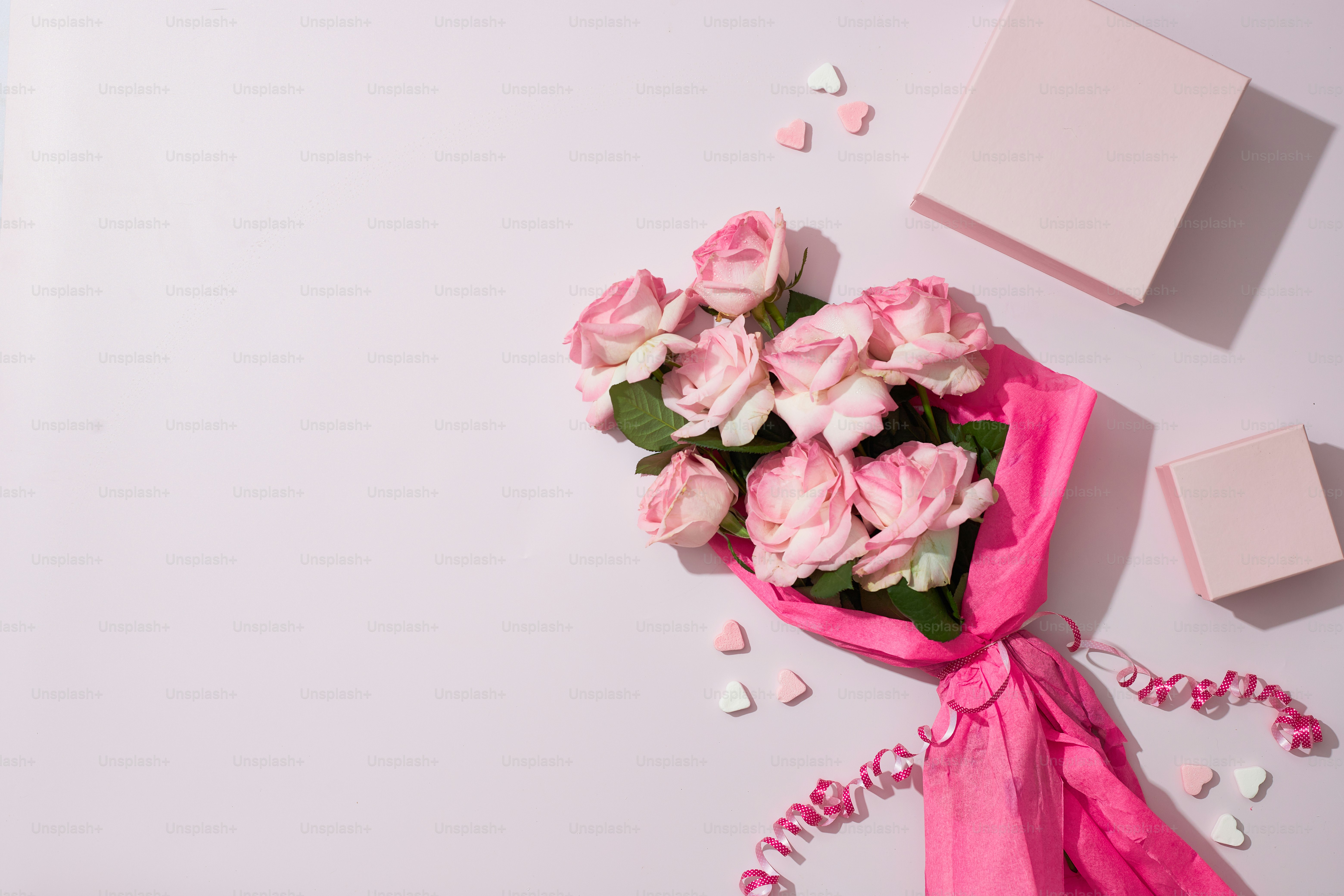 A bunch of pink roses on a white background photo – Pink rose Image on ...