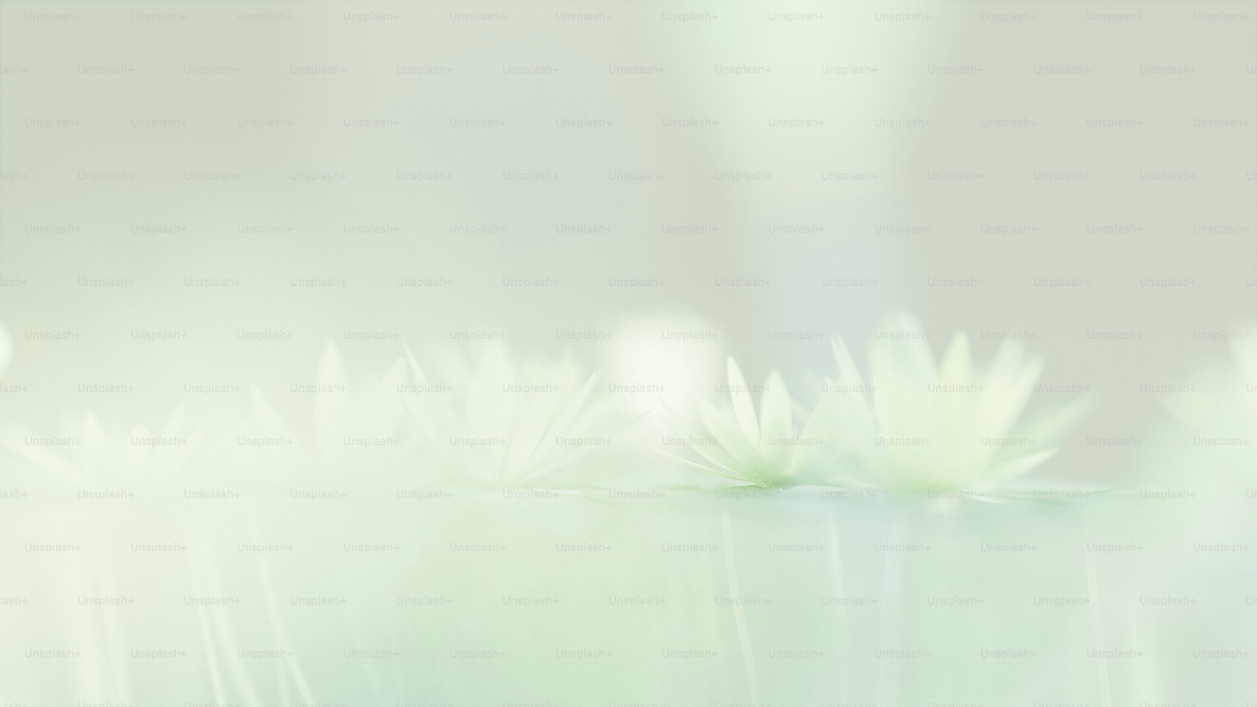 Slideshow Pictures | Download Free Images on Unsplash