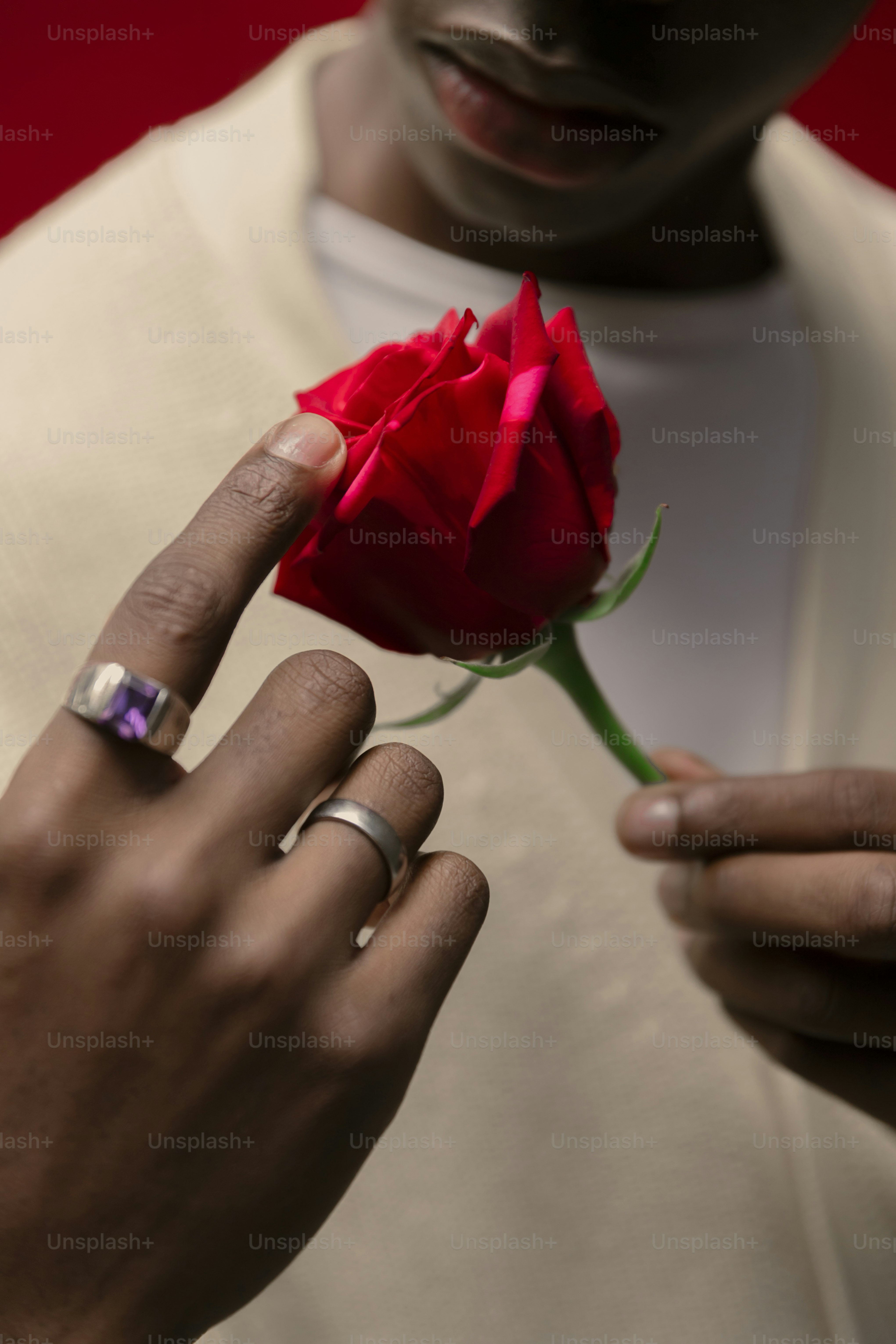 A person holding three red roses in their hand photo – Flower Image on ...