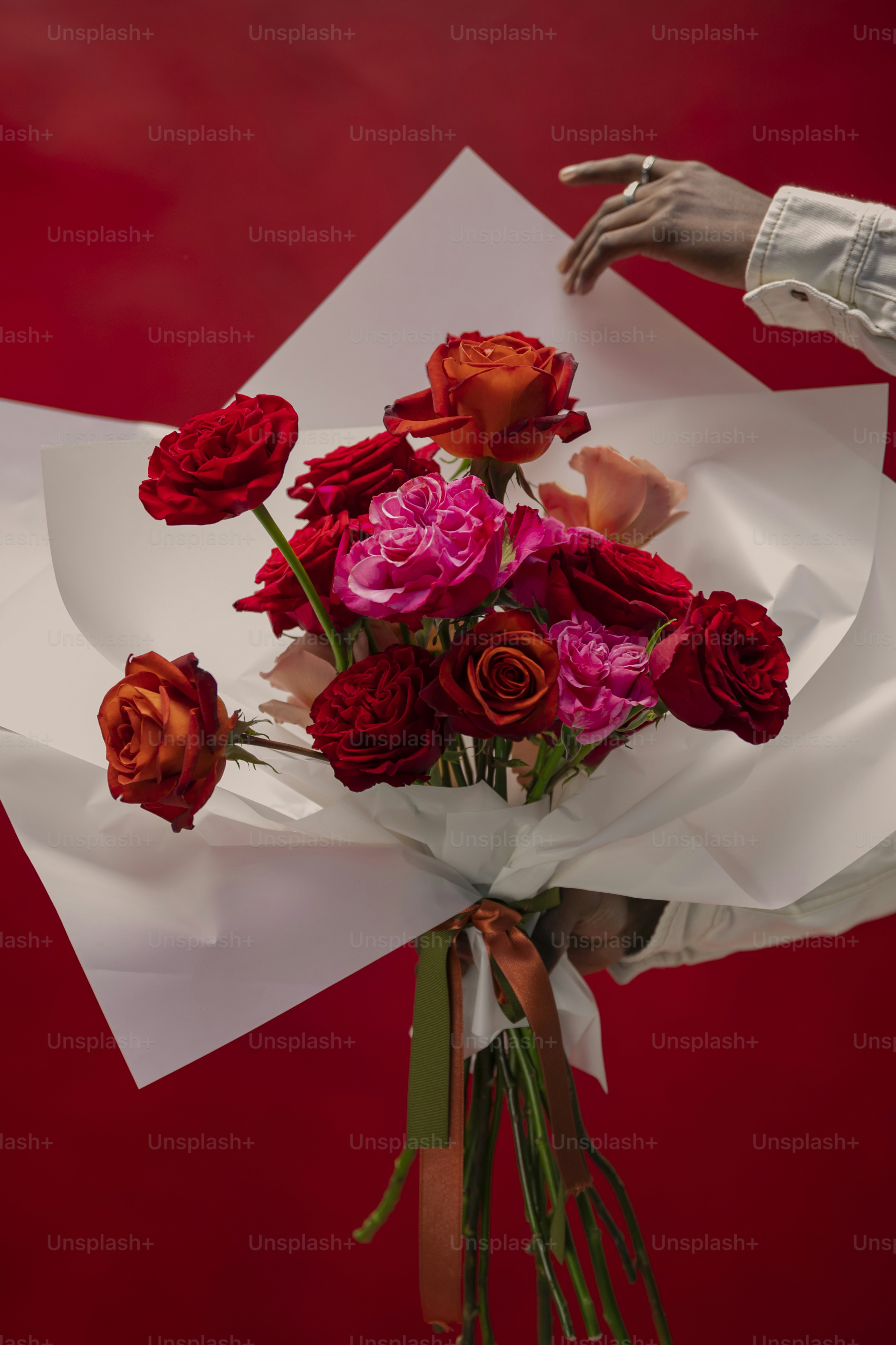 A person holding a bouquet of red and pink roses photo – Floral Image ...