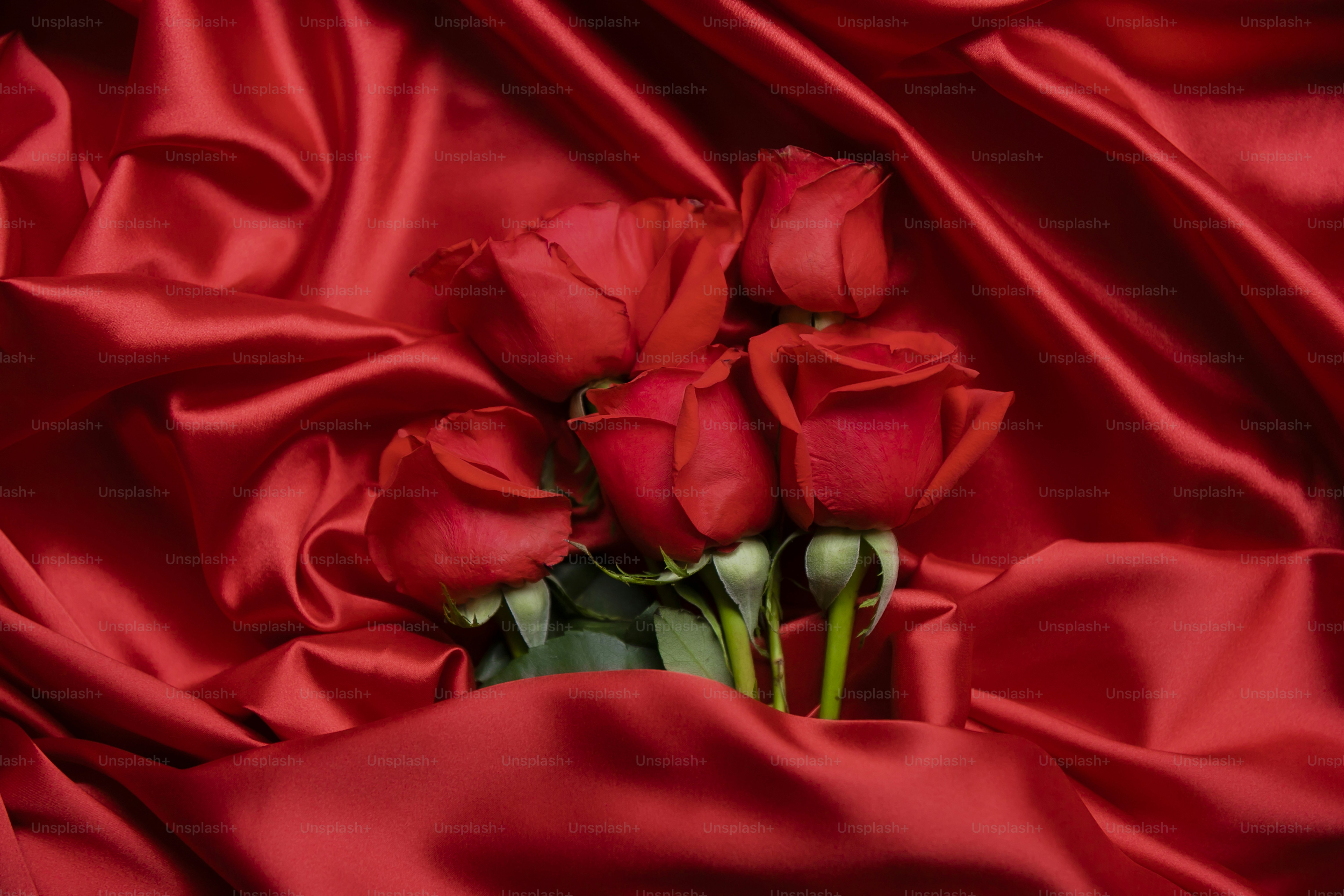 A bunch of red roses laying on a red cloth photo – Valentine roses ...