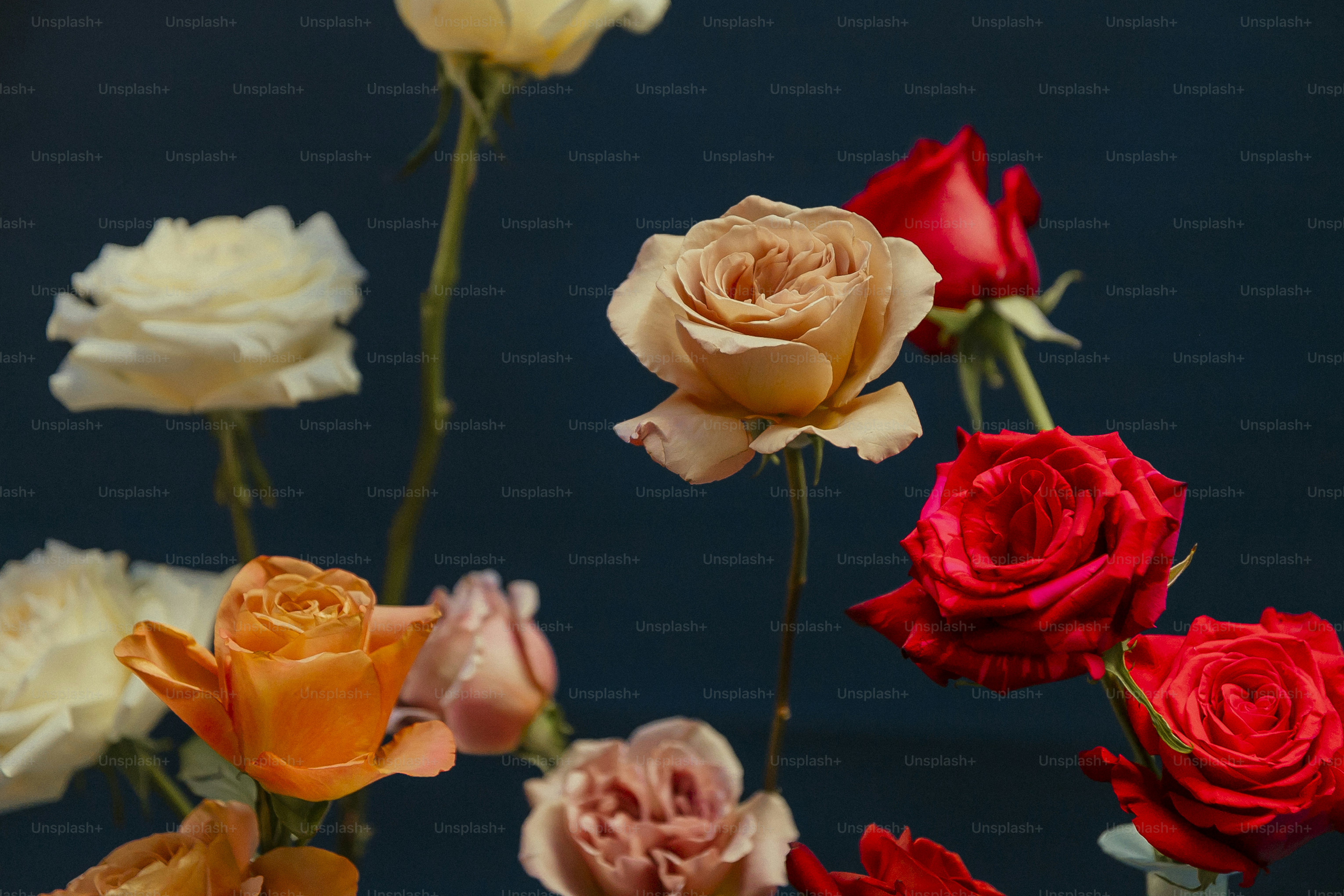 Backgrounds Image on Unsplash