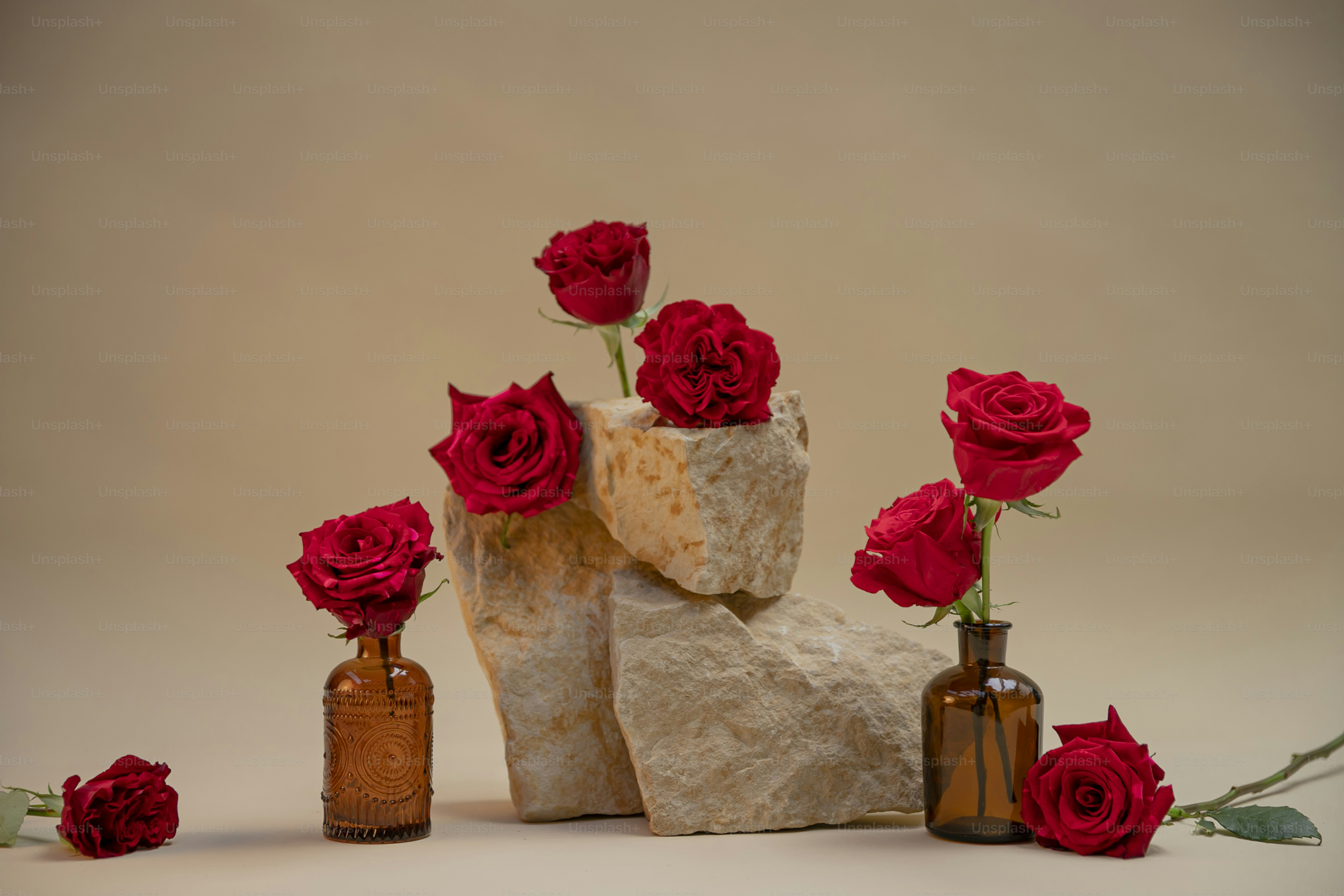 Rose Image on Unsplash