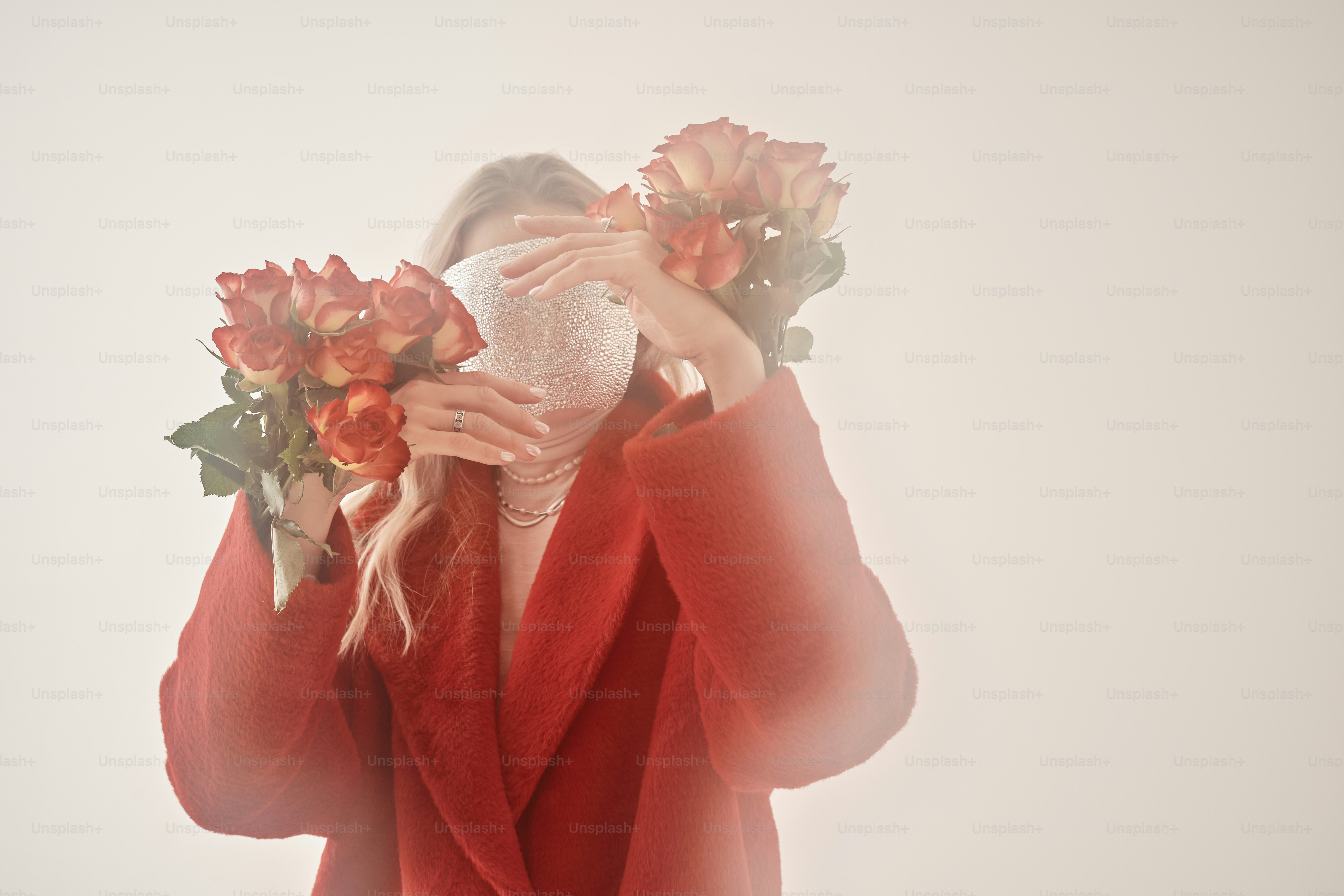 Rose flower Image on Unsplash