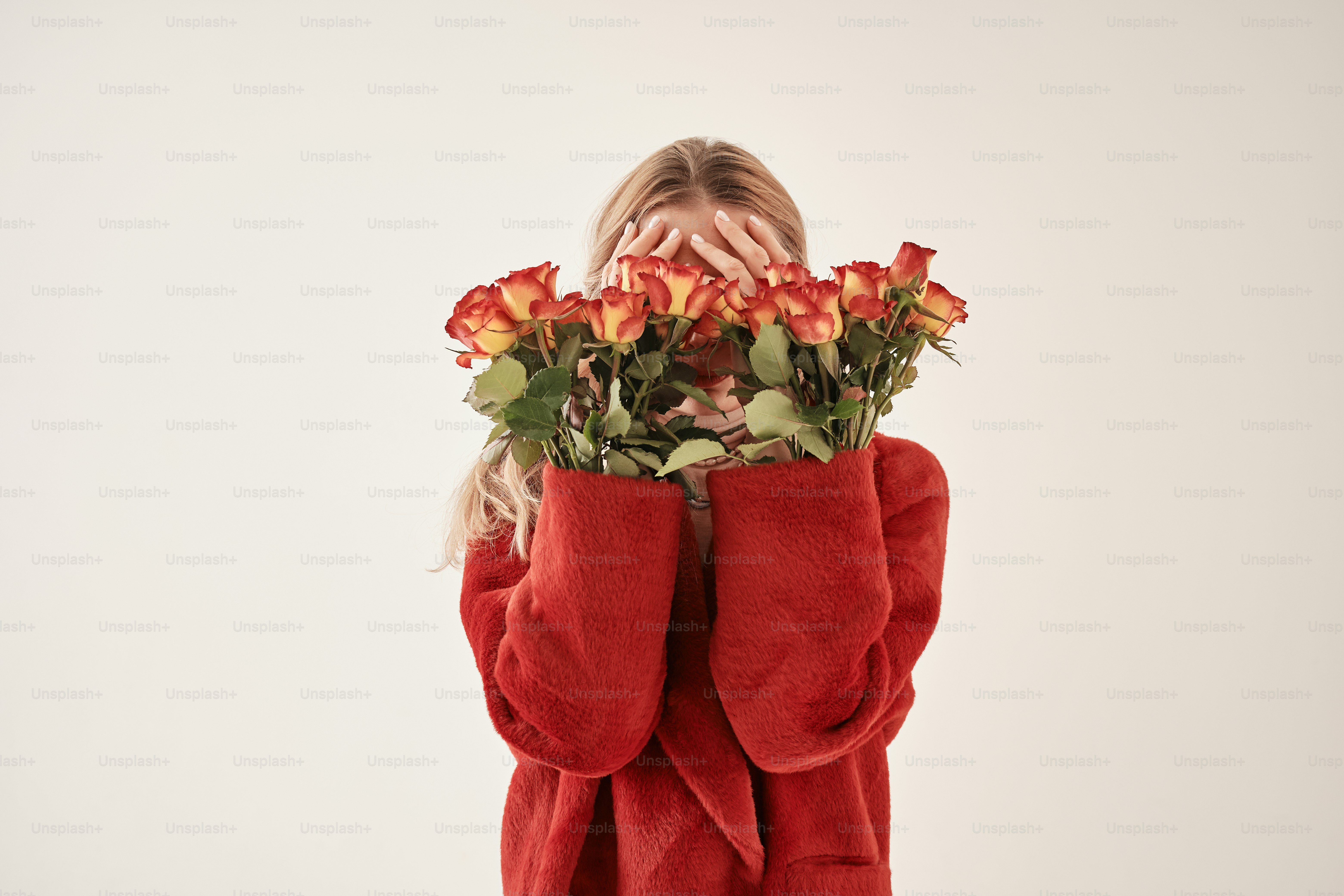 Rose flower Image on Unsplash