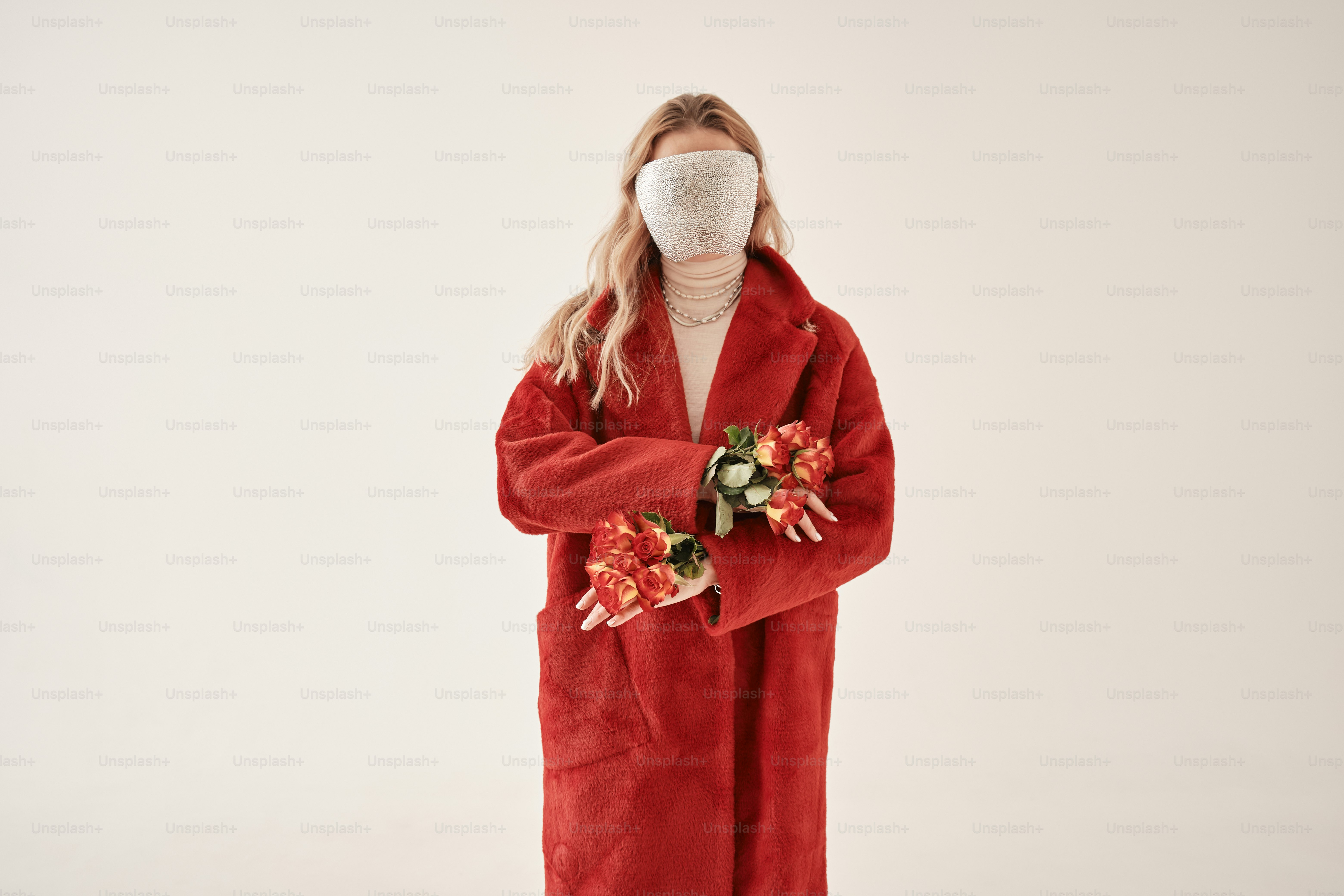 Rose flower Image on Unsplash