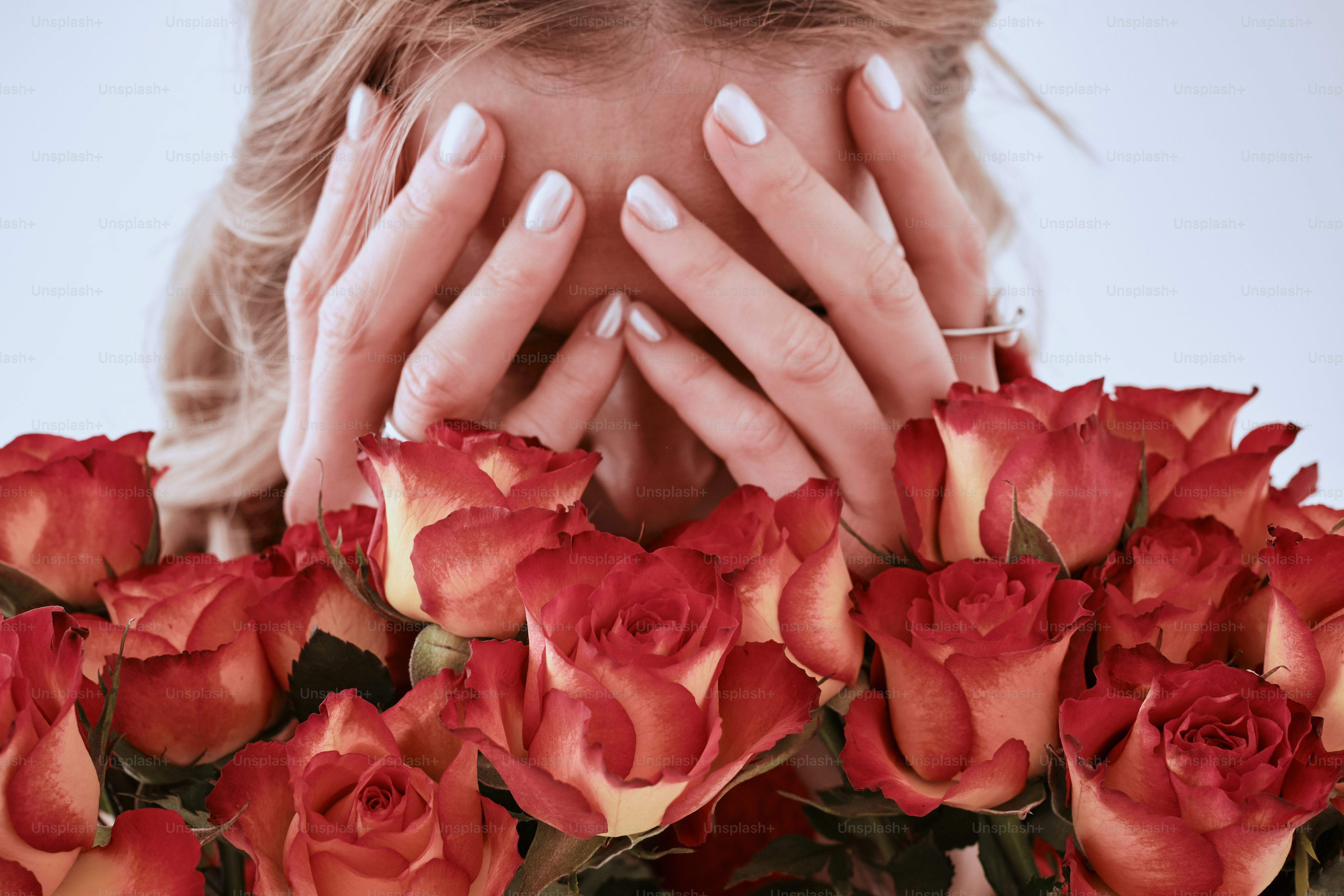 Rose flower Image on Unsplash