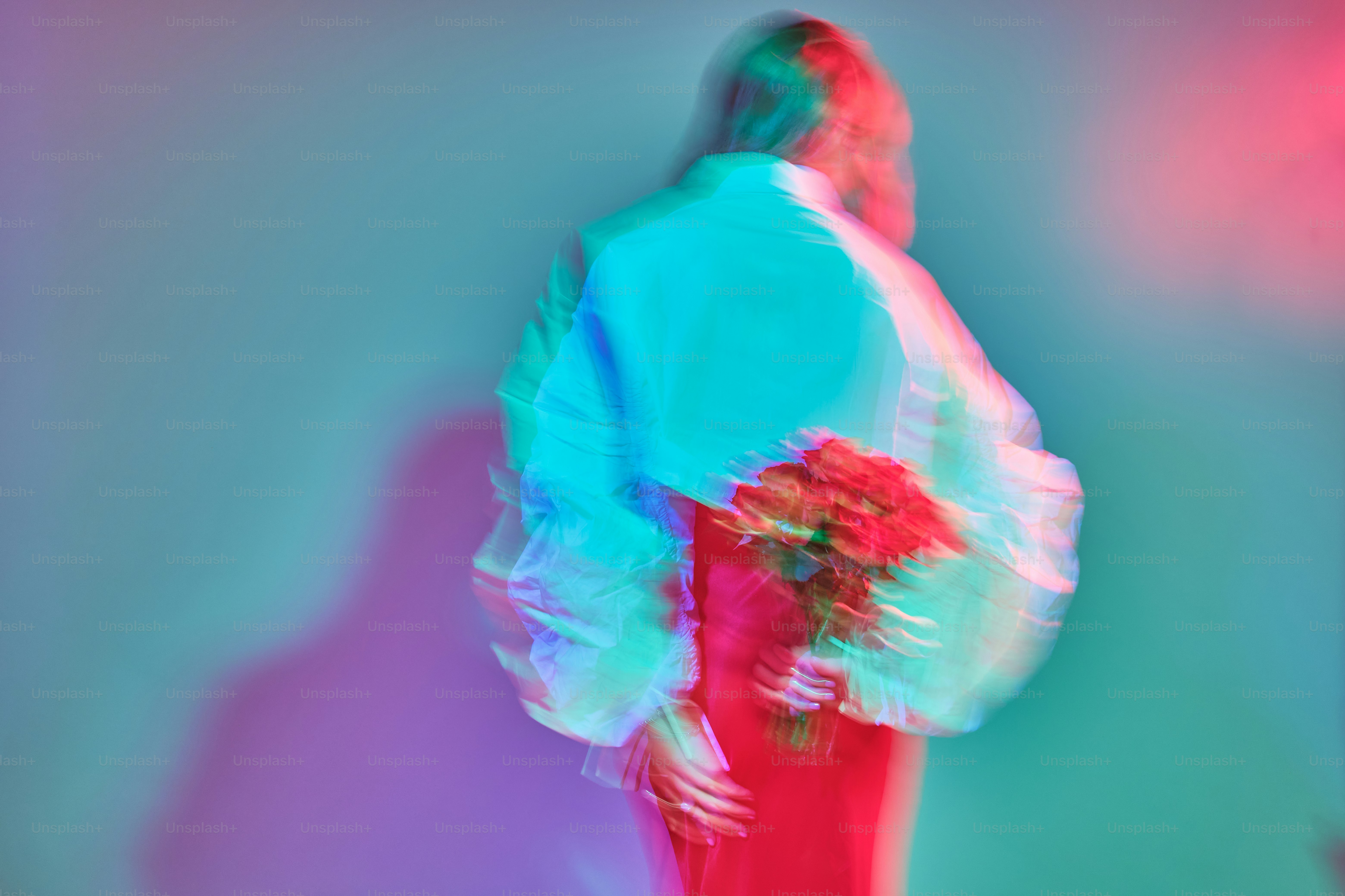 Rose flower Image on Unsplash