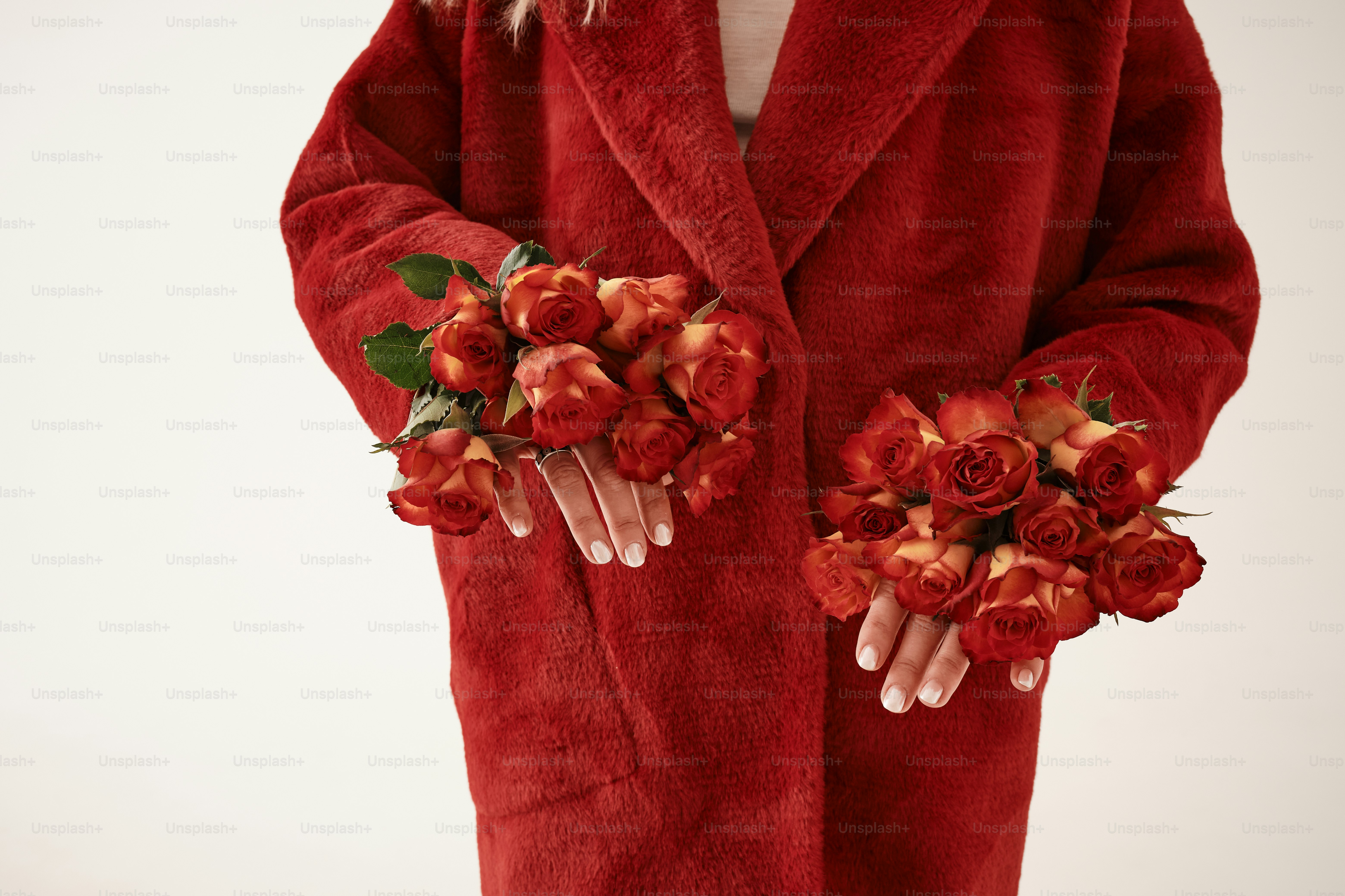 Rose flower Image on Unsplash