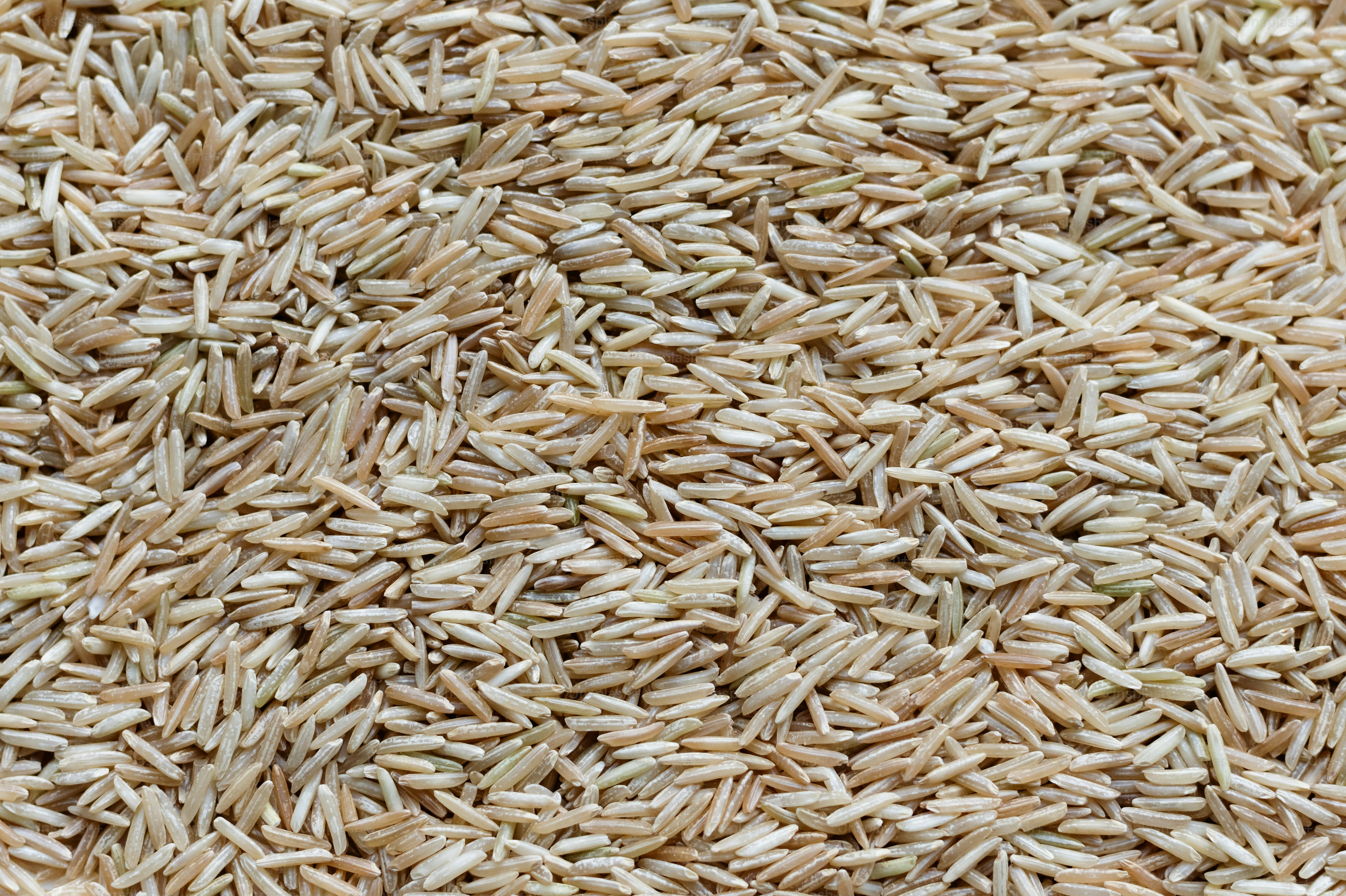 A close up of a pile of rice photo – Healthy gut Image on Unsplash