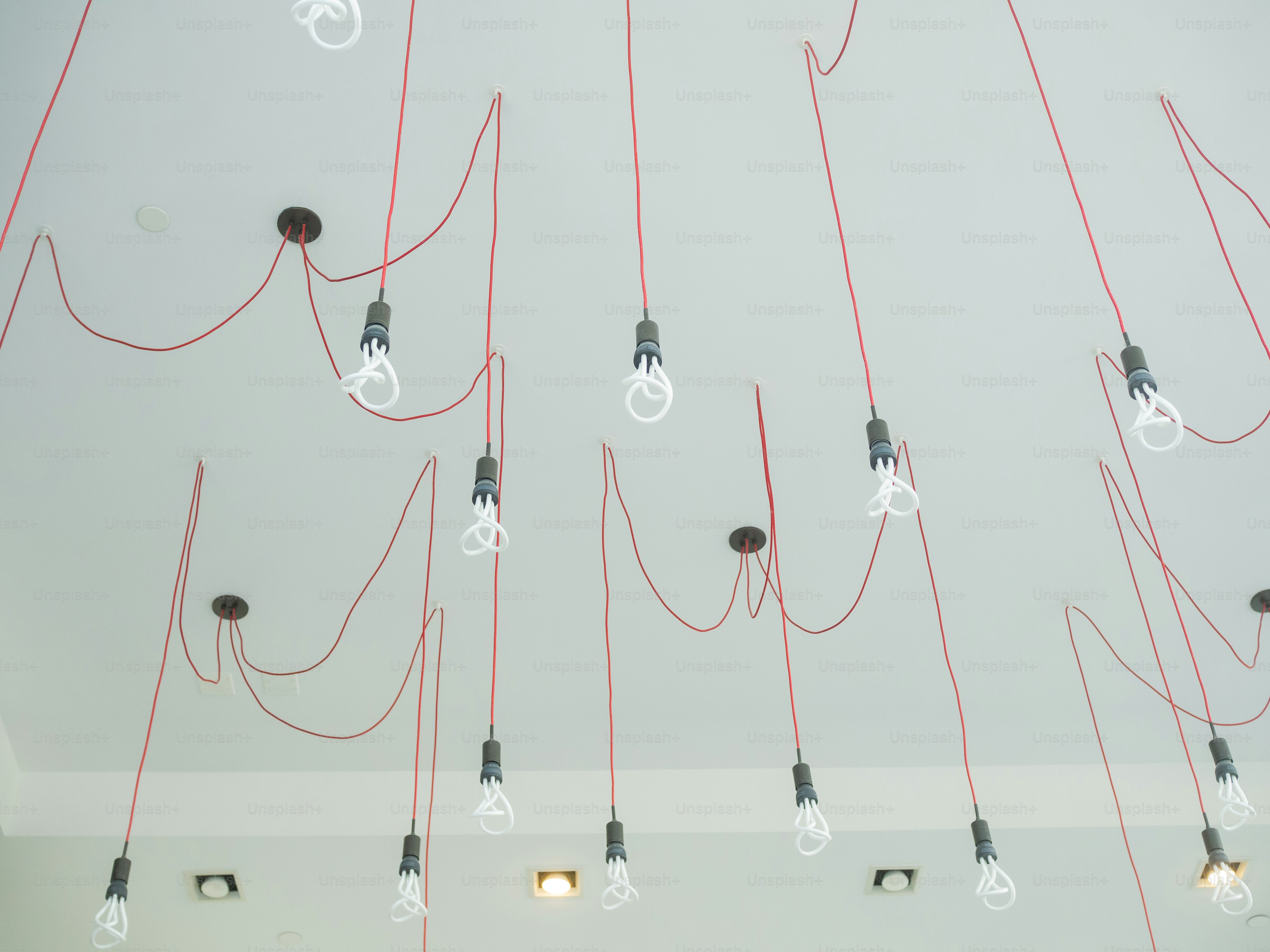 A bunch of light bulbs hanging from a ceiling photo – Interior Image on ...