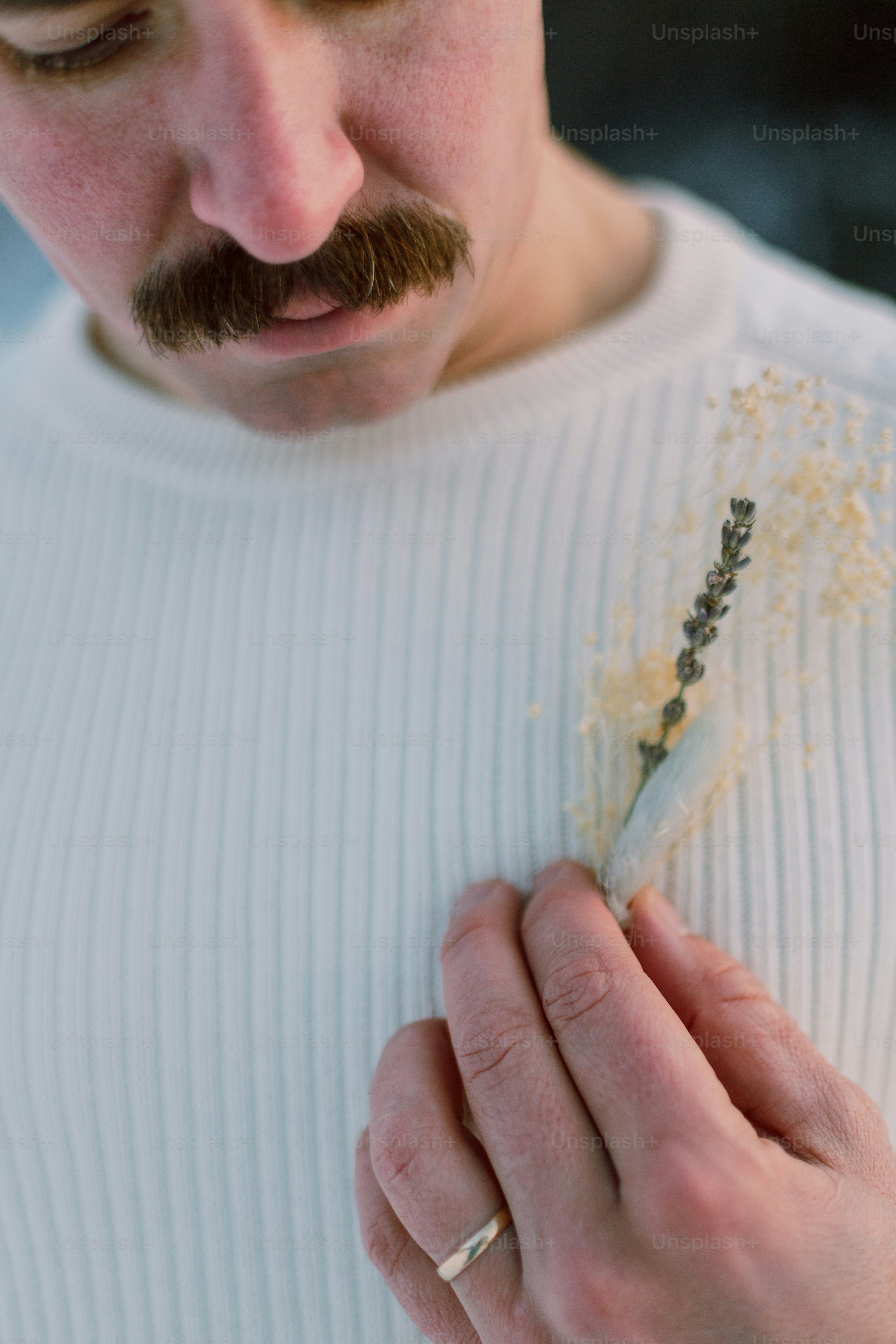 A man with a mustache holding a flower photo – Flowers Image on Unsplash