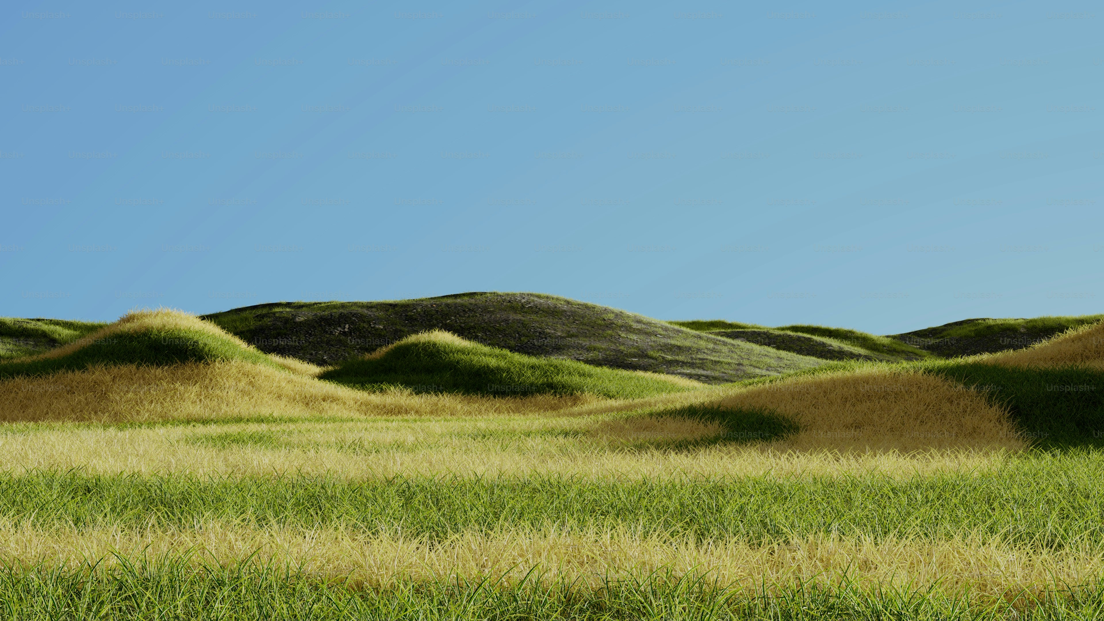 A field of grass with hills in the background photo – Grass Image on ...