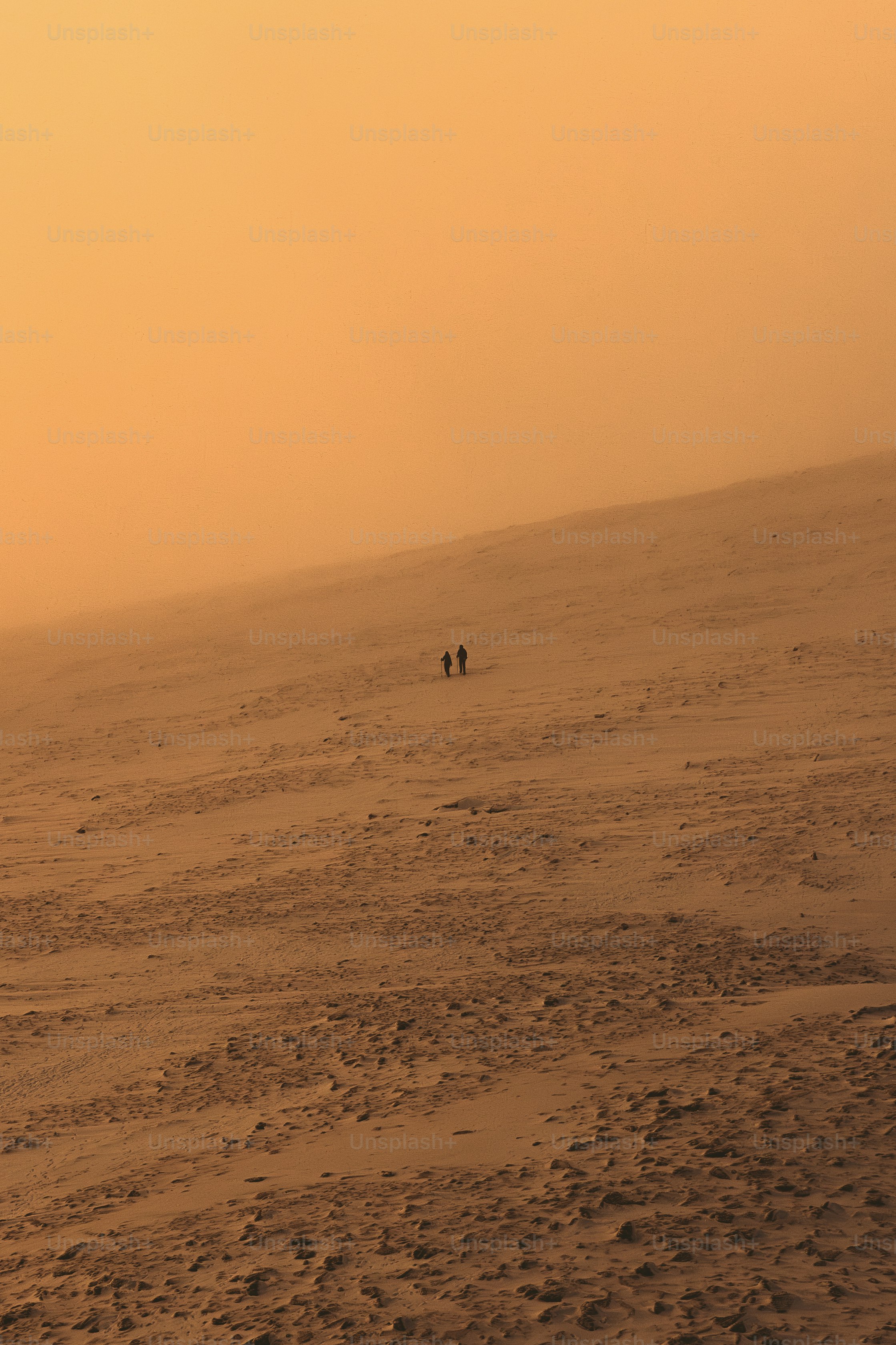 A couple of people walking across a sandy field photo – United kingdom ...