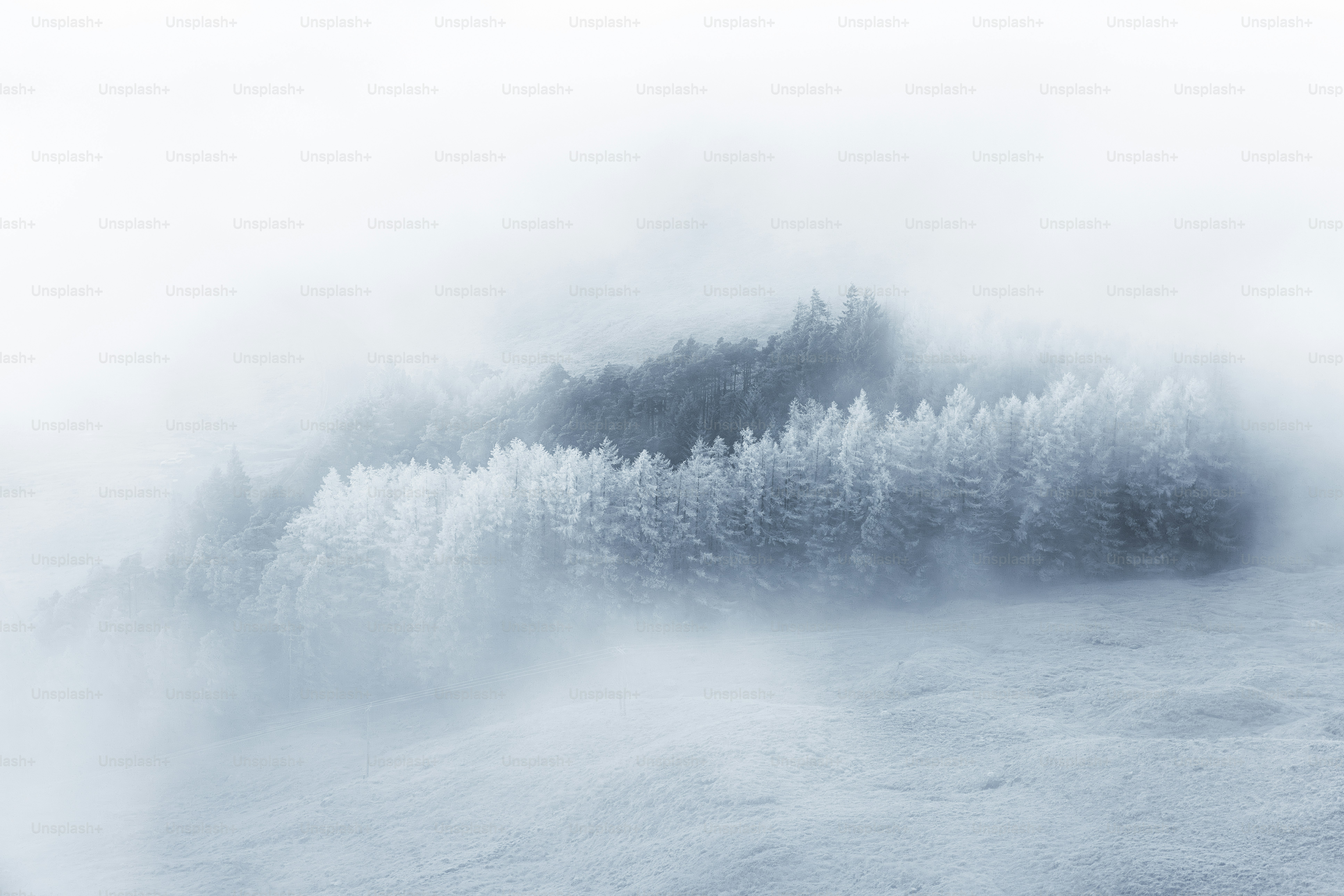 A mountain covered in snow with trees in the background photo – Minimal ...