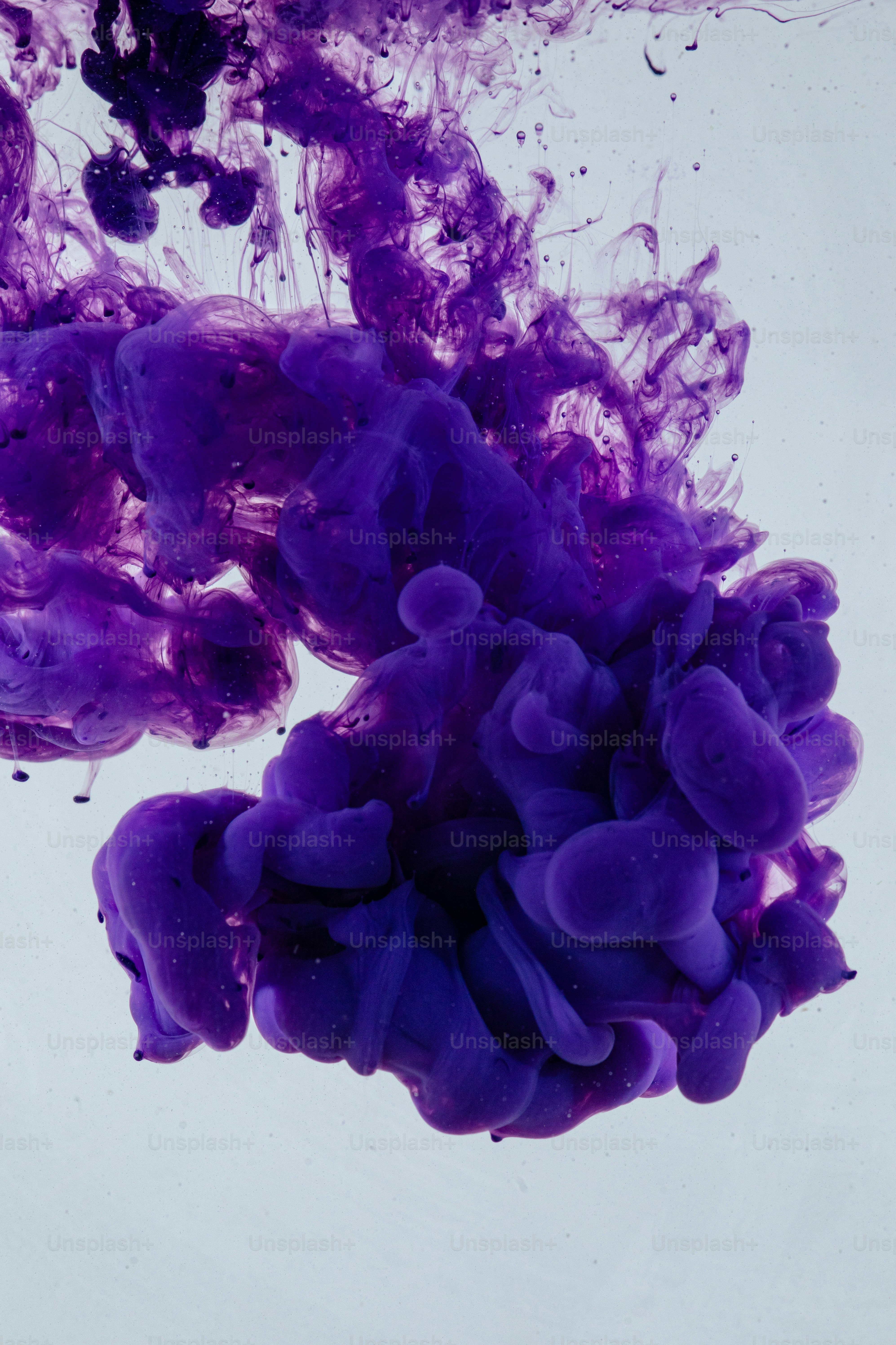 A purple substance floating in water on a white surface photo – Purple ...
