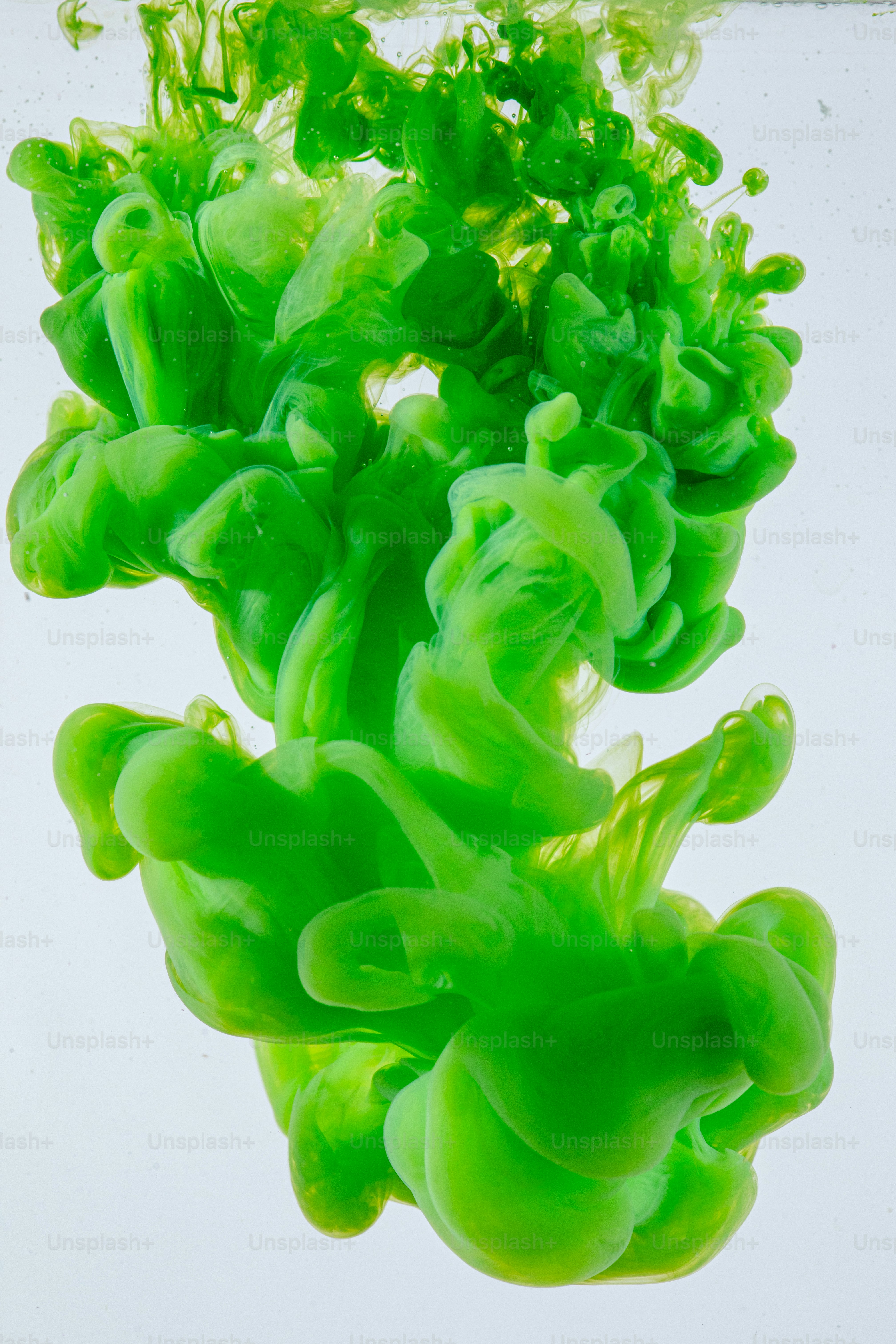 Chlorophyll Pictures | Download Free Images on Unsplash