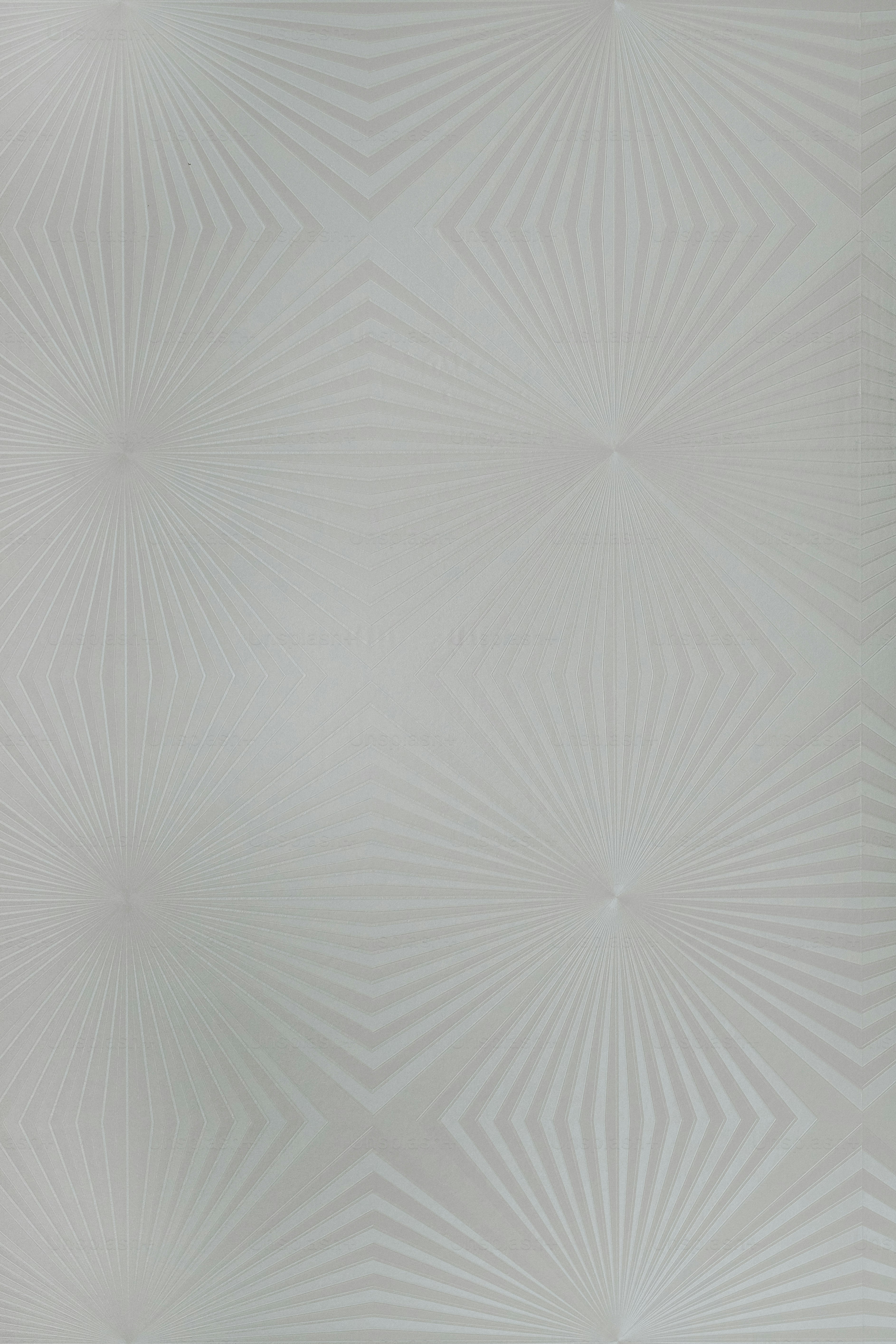 Off White Background Pictures | Download Free Images on Unsplash