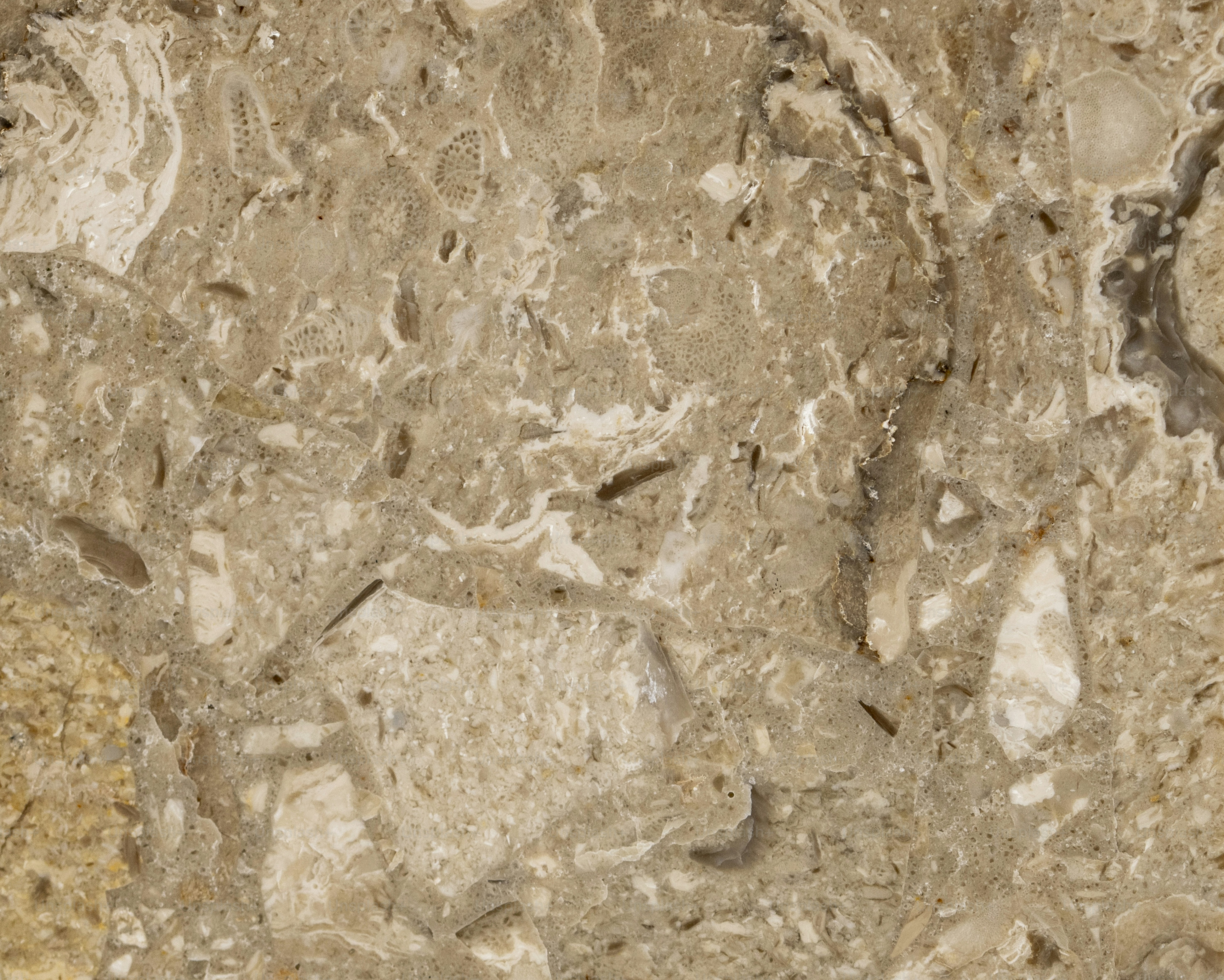 A close up view of a marble surface photo – Marble surface Image on ...