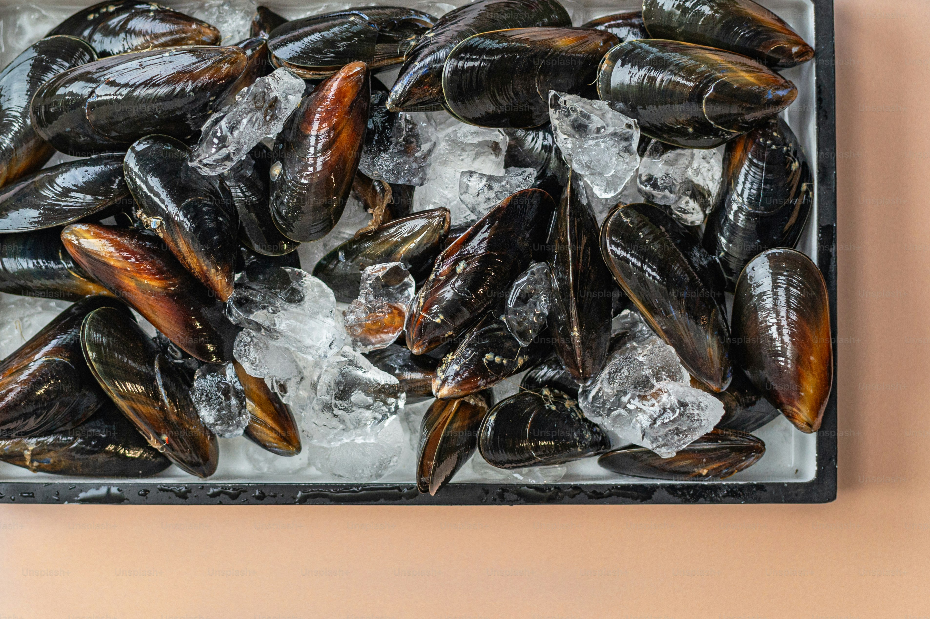 A tray of mussels on ice on a table photo – Mussels Image on Unsplash