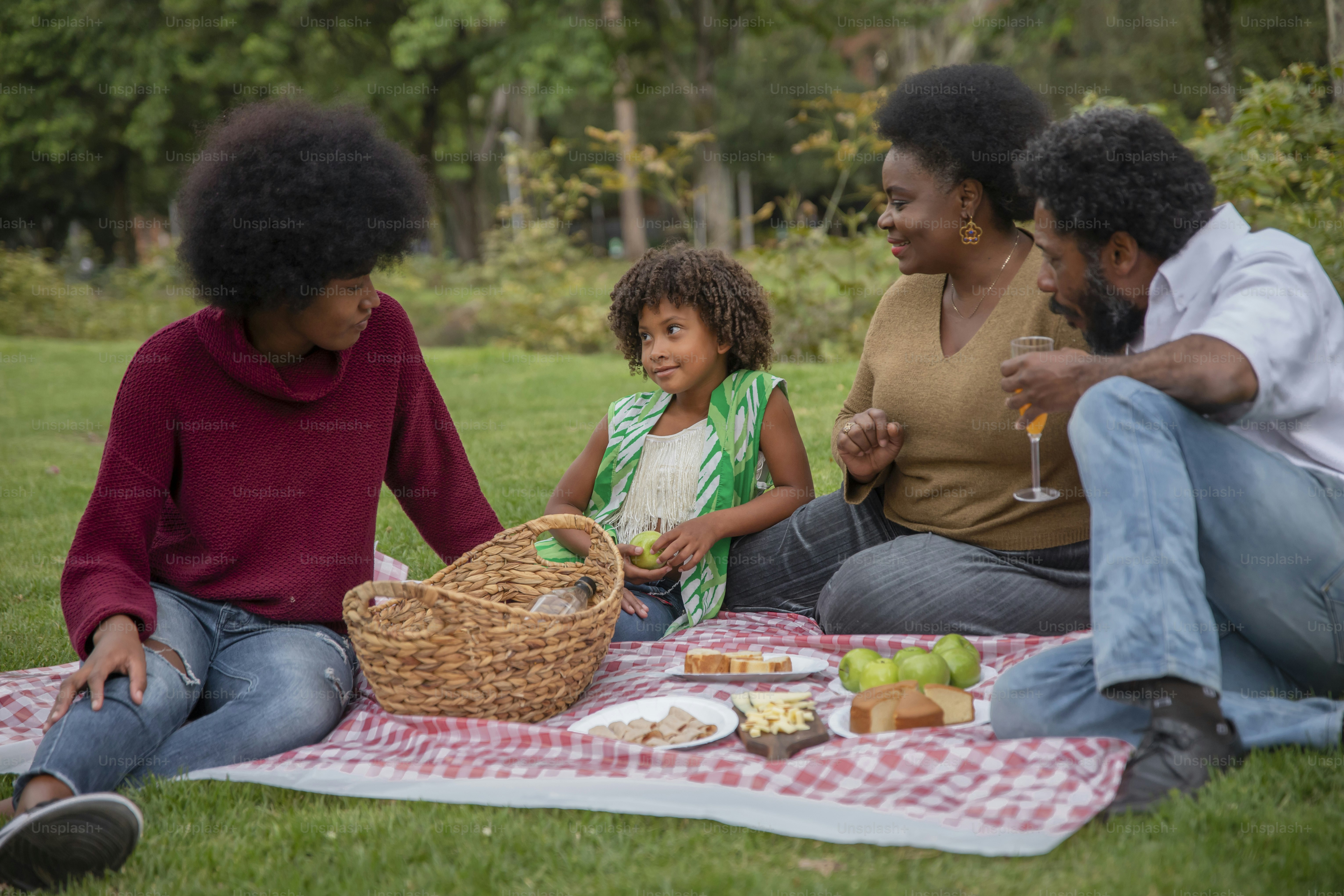 Una familia haciendo un picnic en el parque foto – Imagen de Familia en ...