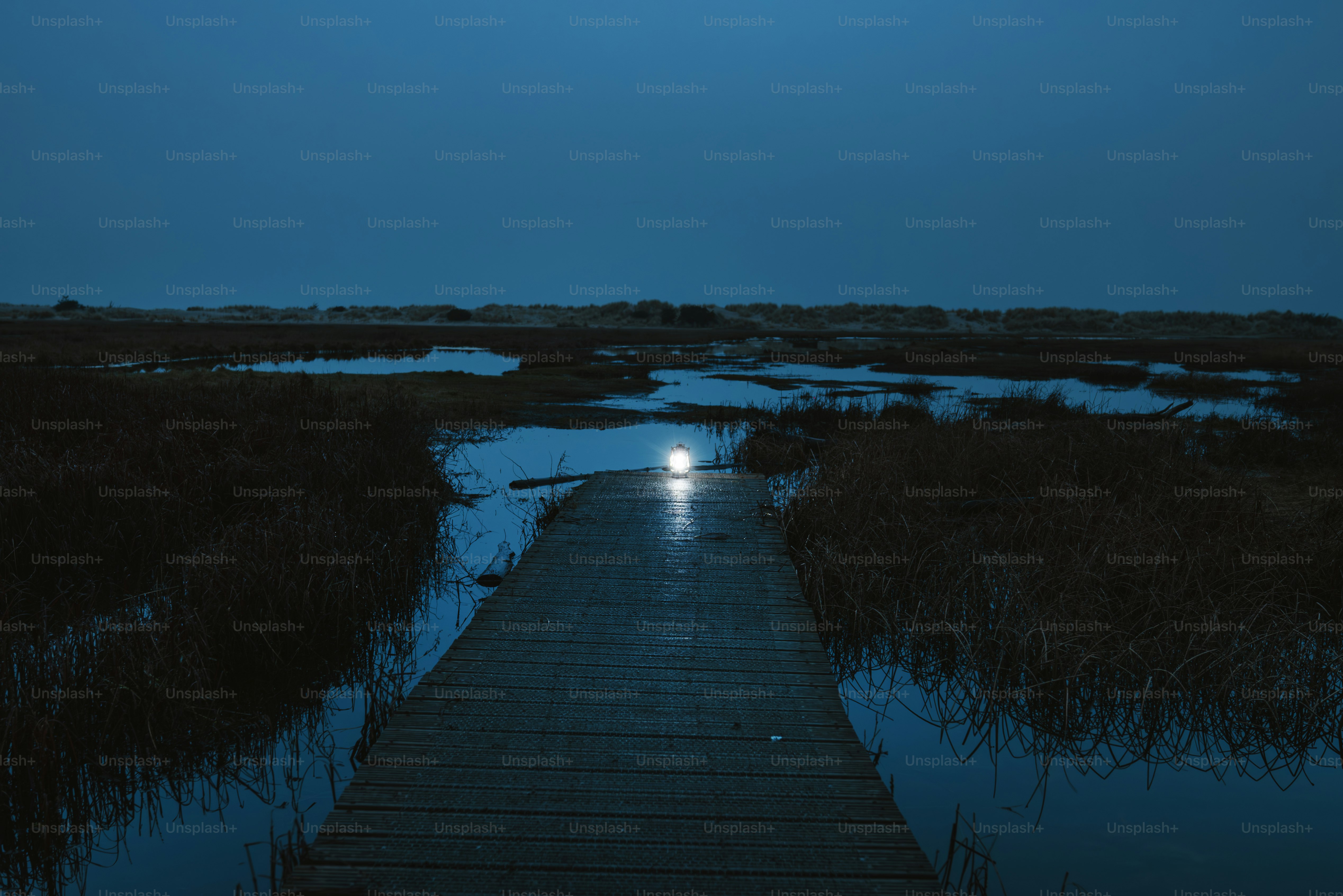 A wooden walkway leading into a marsh at night photo – Water Image on ...