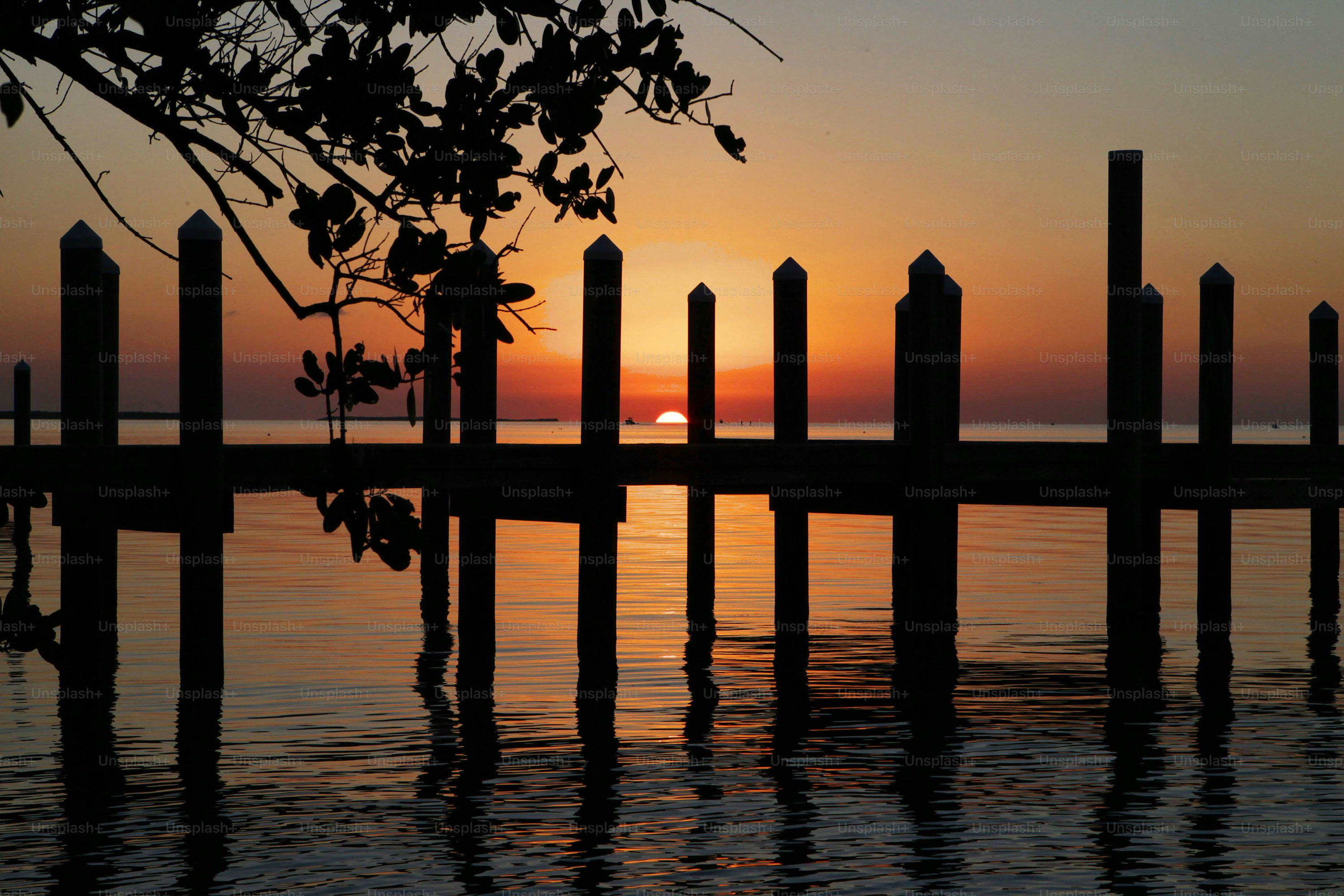 100+ photos de la Floride [Photos de voyage pittoresques] | Téléchargez ...