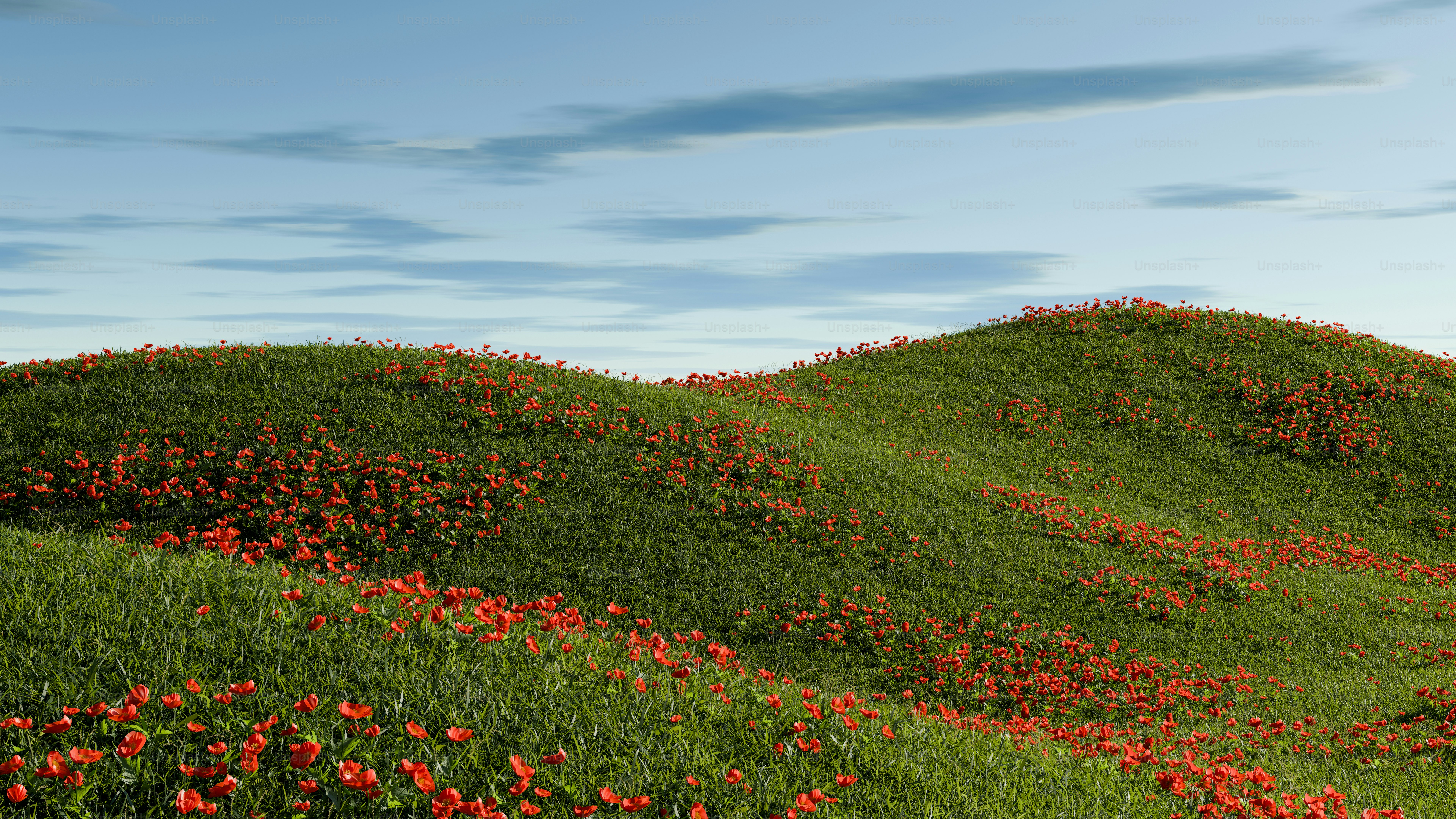 Una collina erbosa con un cielo azzurro sullo sfondo foto – Immagine di ...