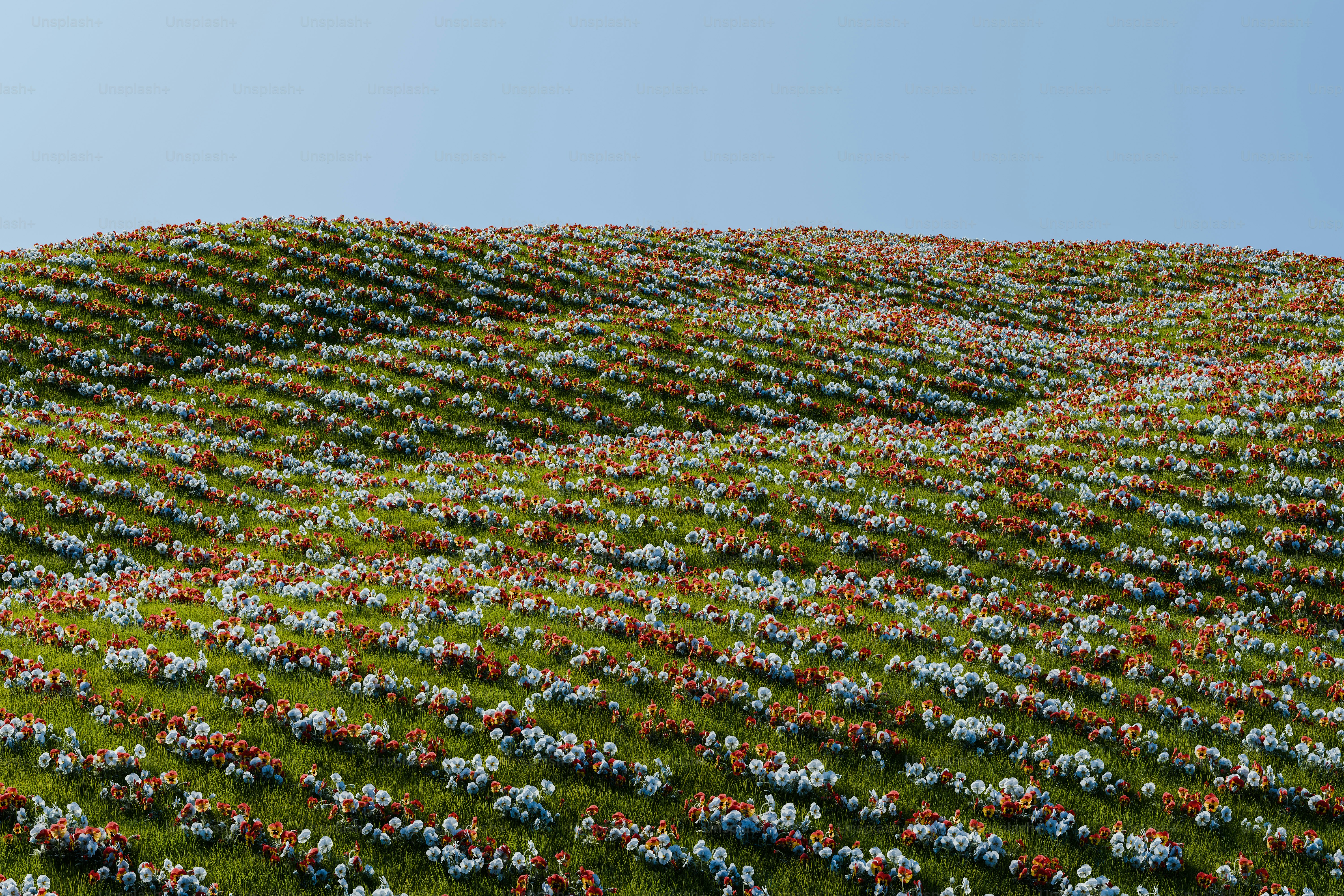 A painting of blue flowers growing on a grassy hill photo – Render ...