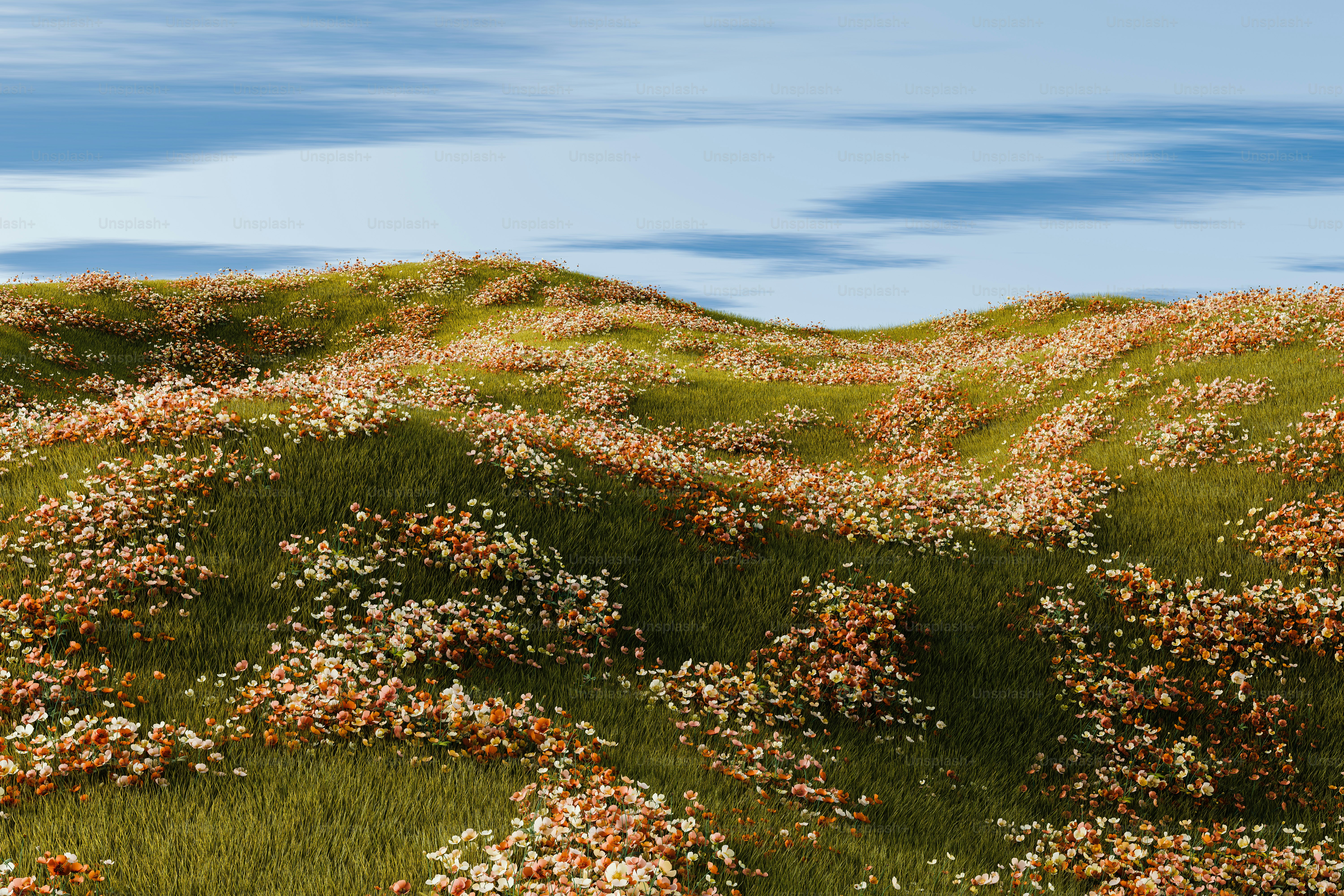 A painting of a grassy hill covered in flowers photo – Wallpaper Image ...
