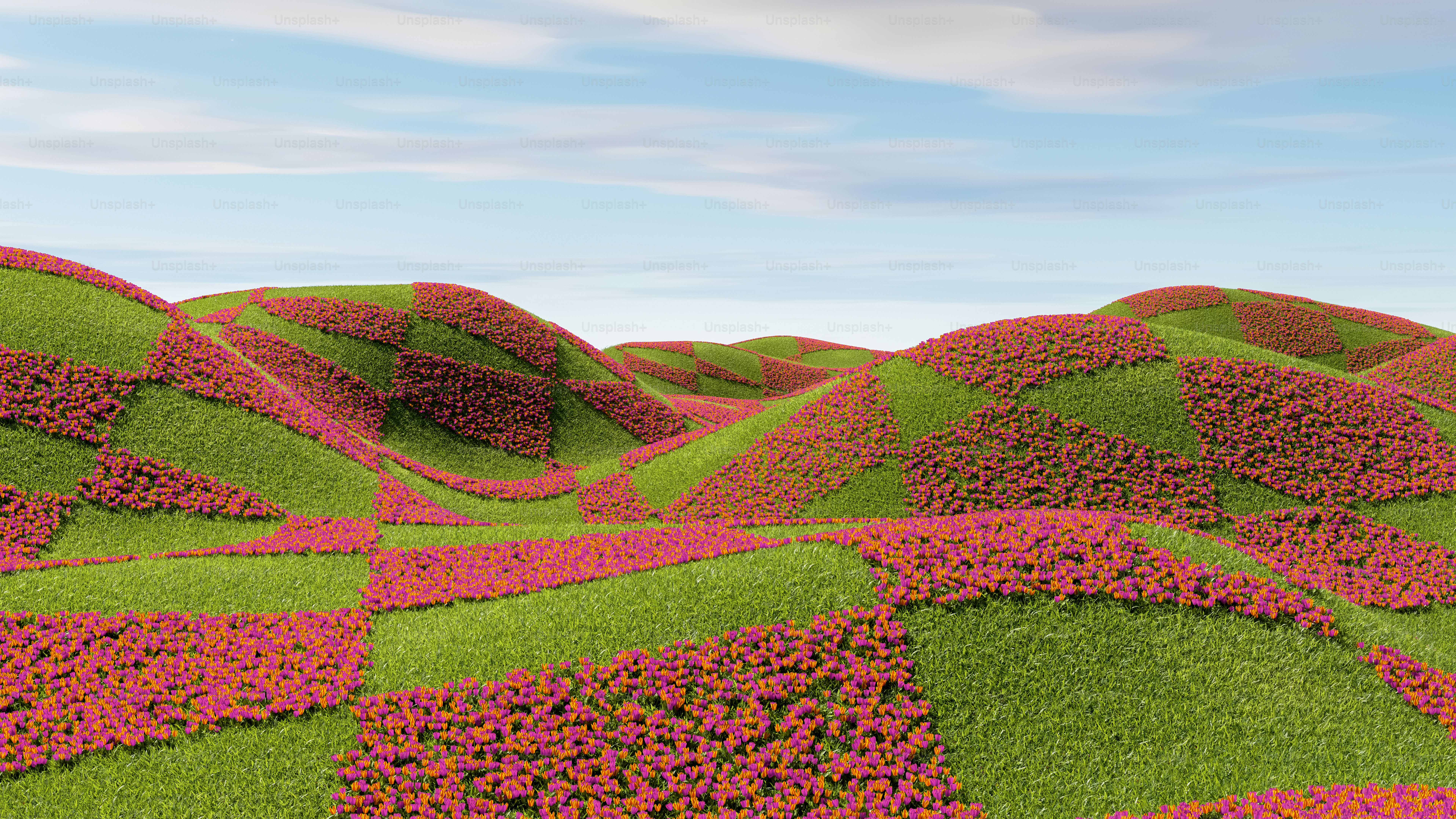 Checkerboard Pictures | Download Free Images on Unsplash