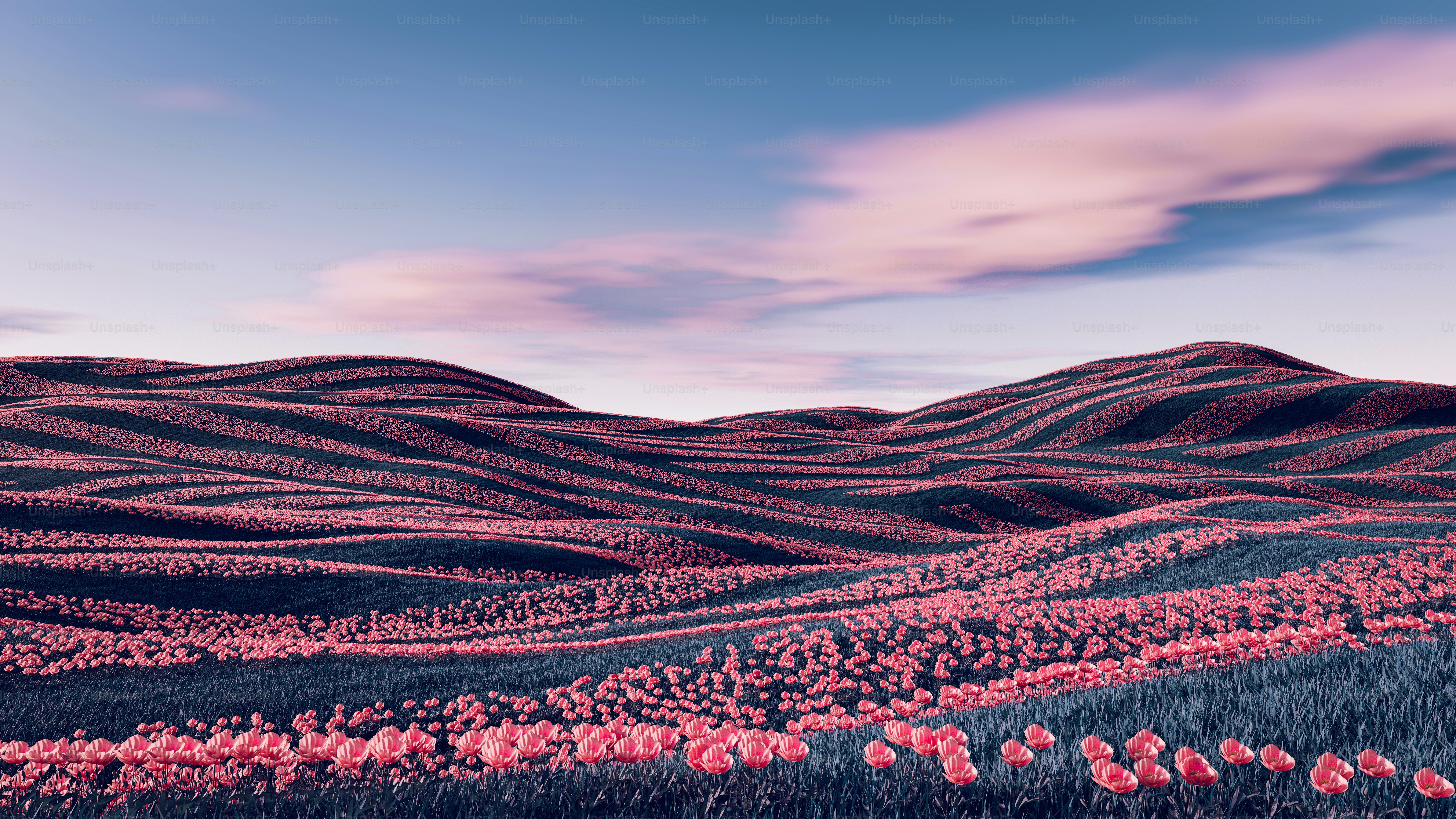 Landscape Animation Pictures | Download Free Images on Unsplash