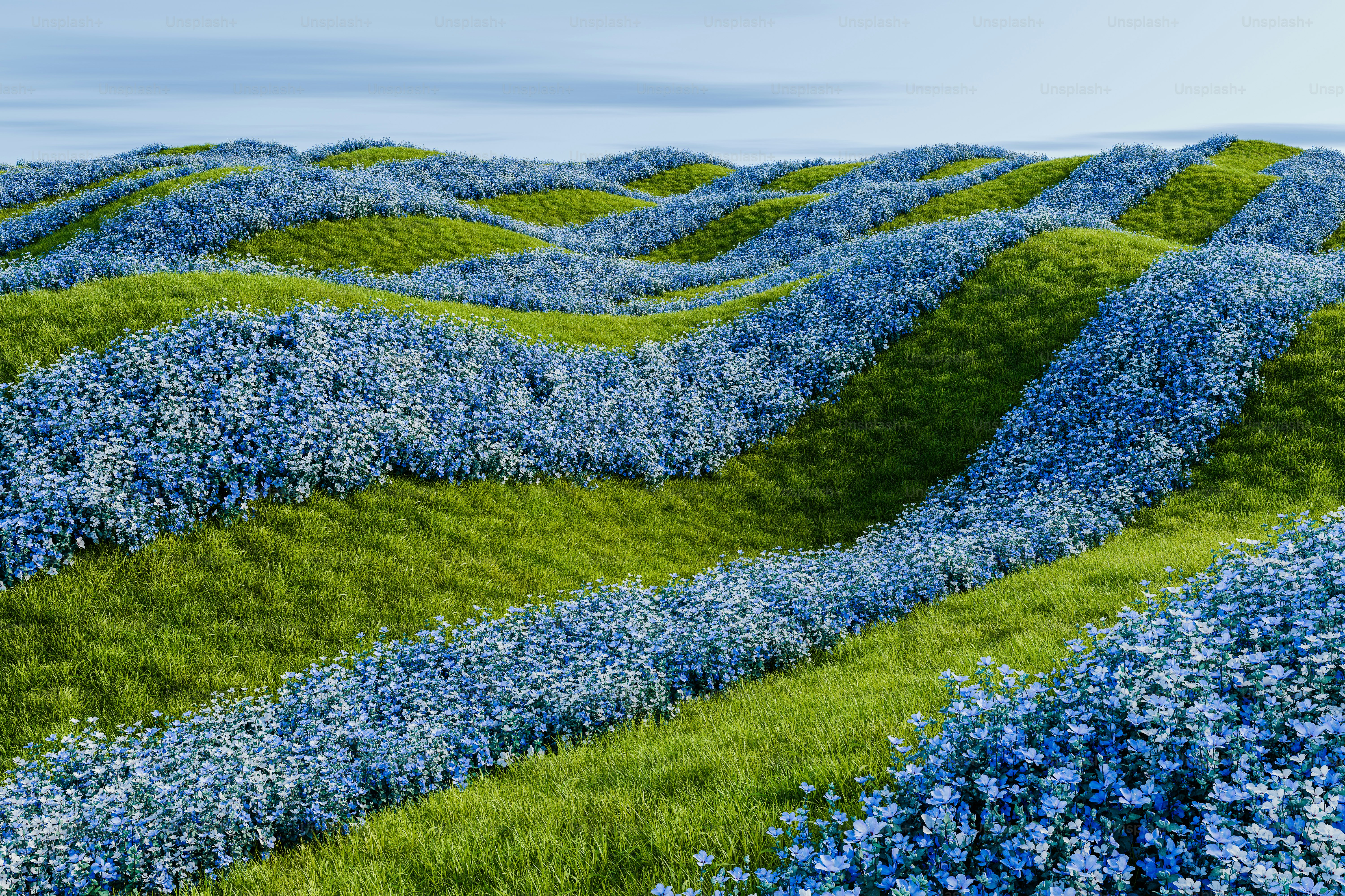 A painting of a field of blue flowers photo – Spring Image on Unsplash