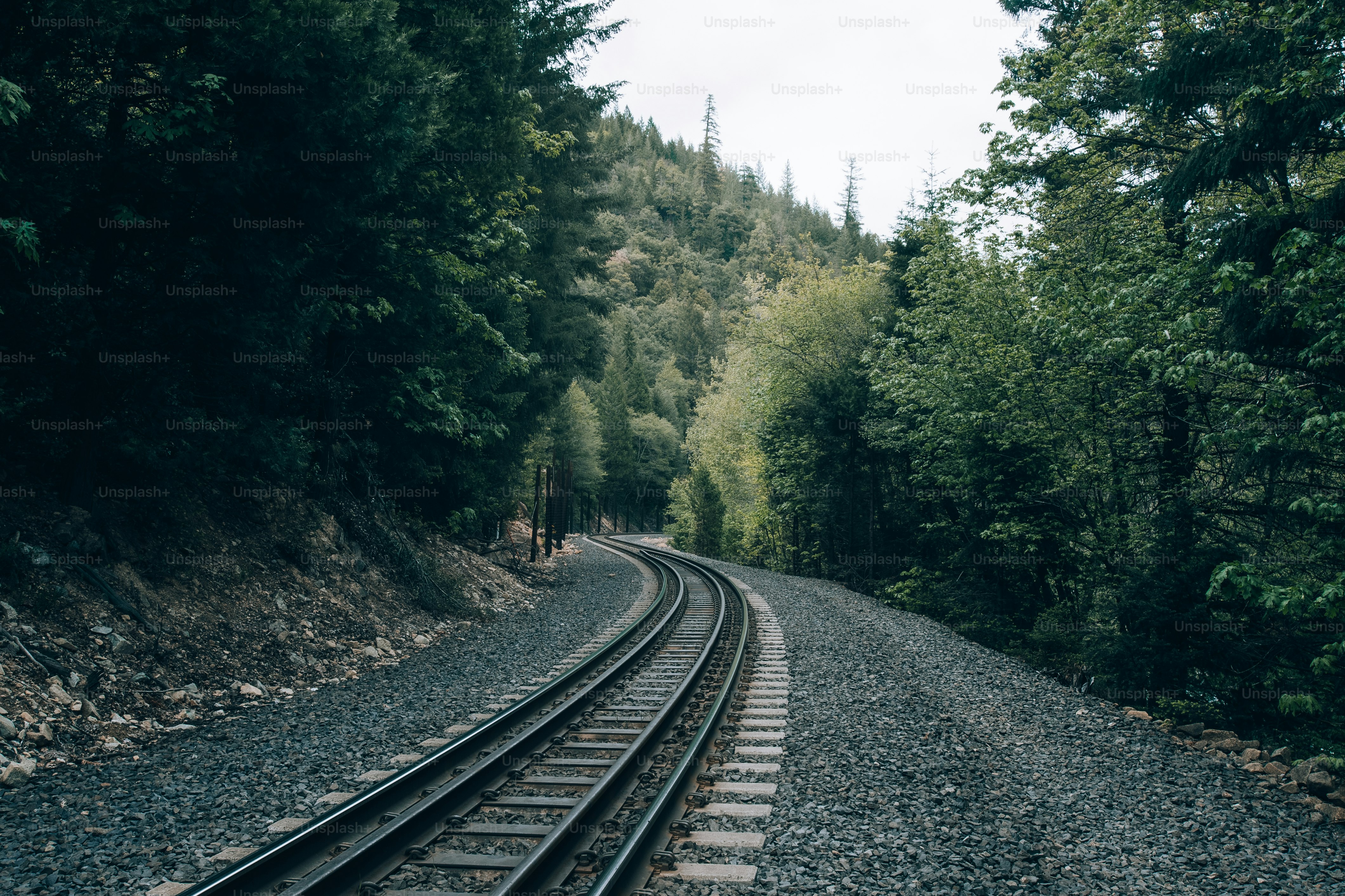 A train track in the middle of a forest photo – Background image Image ...