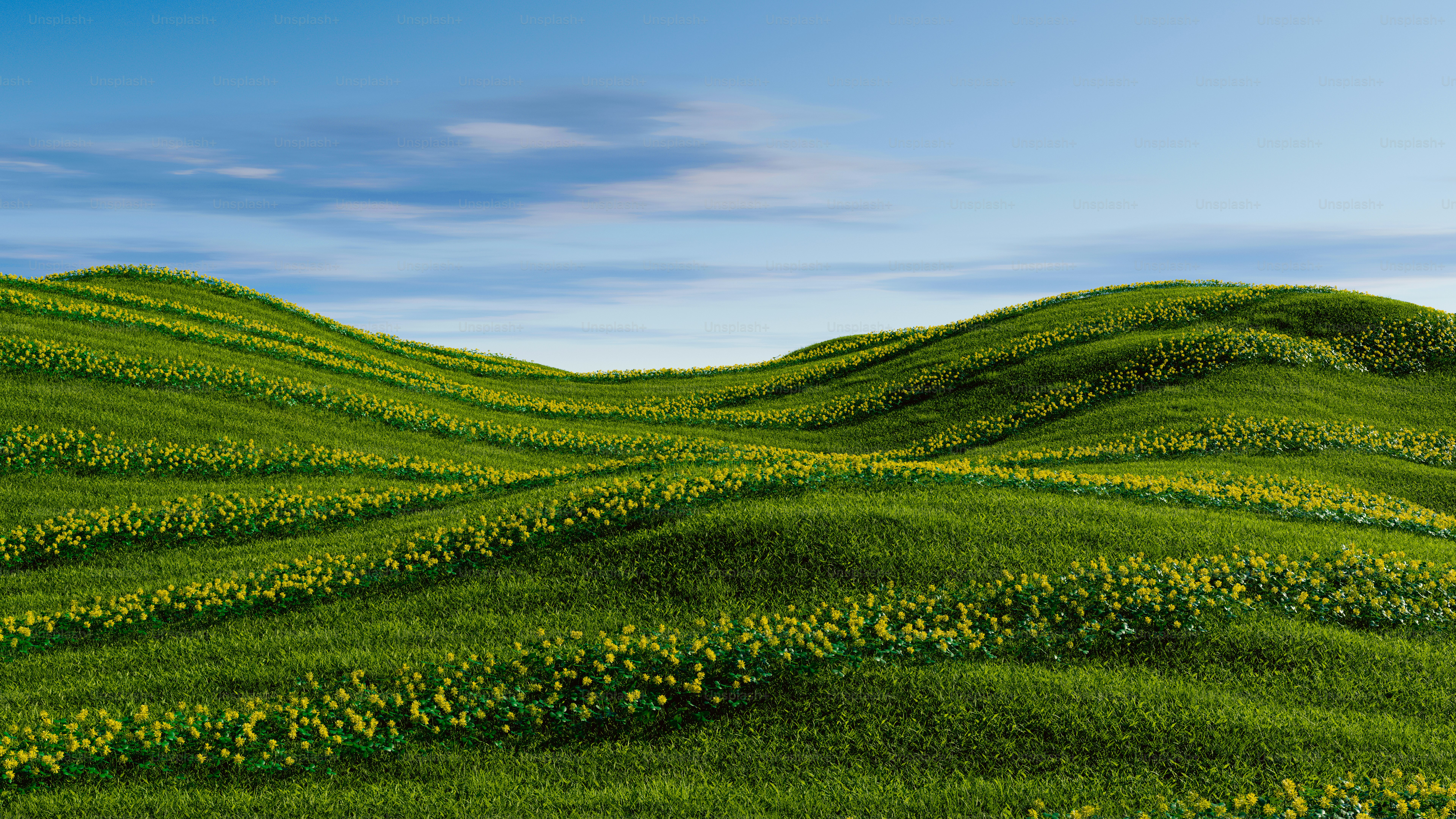 A painting of a grassy hill with yellow flowers photo – Flowers Image ...