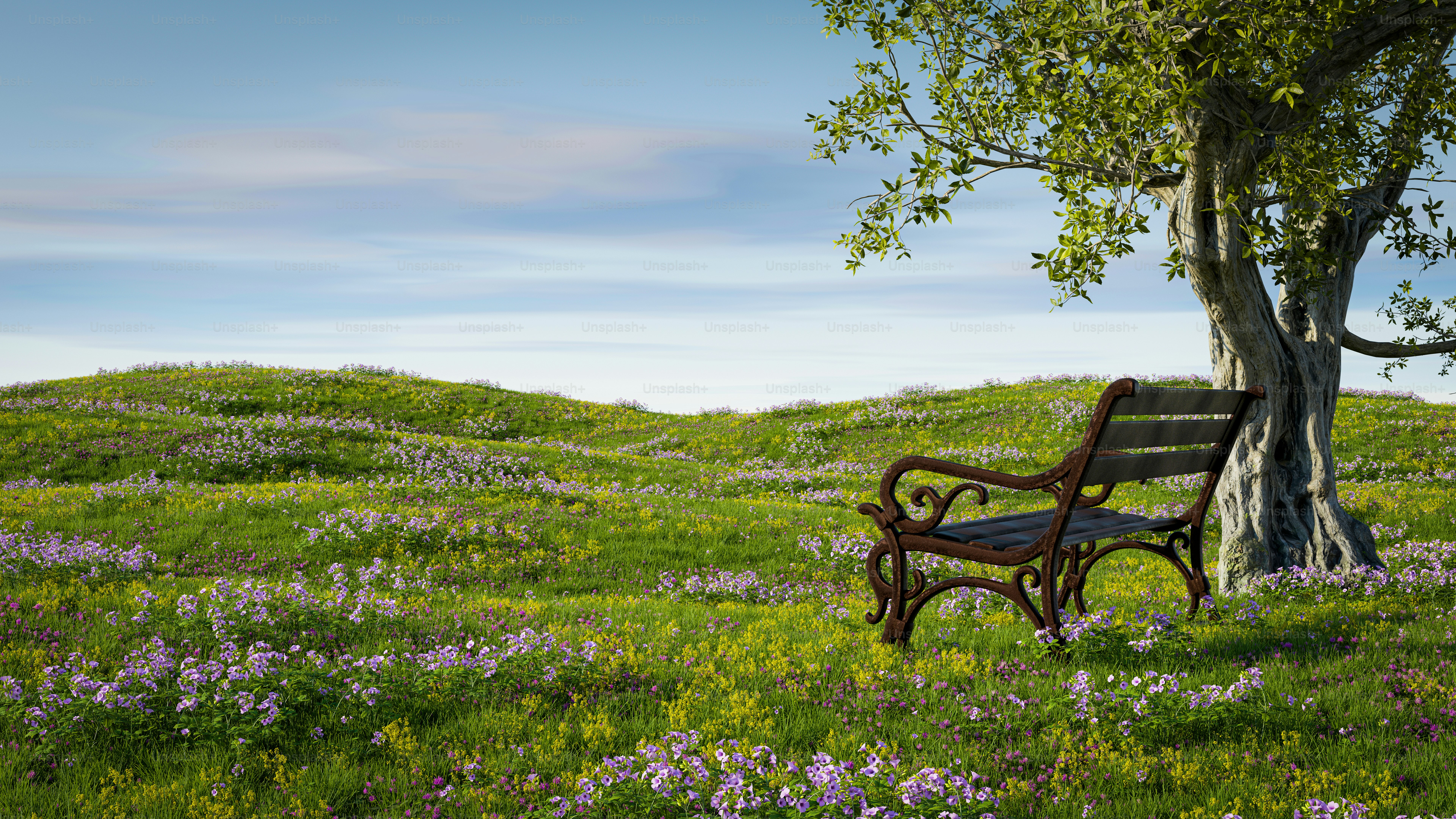 A bench sitting under a tree in a field of flowers photo – Flowers ...