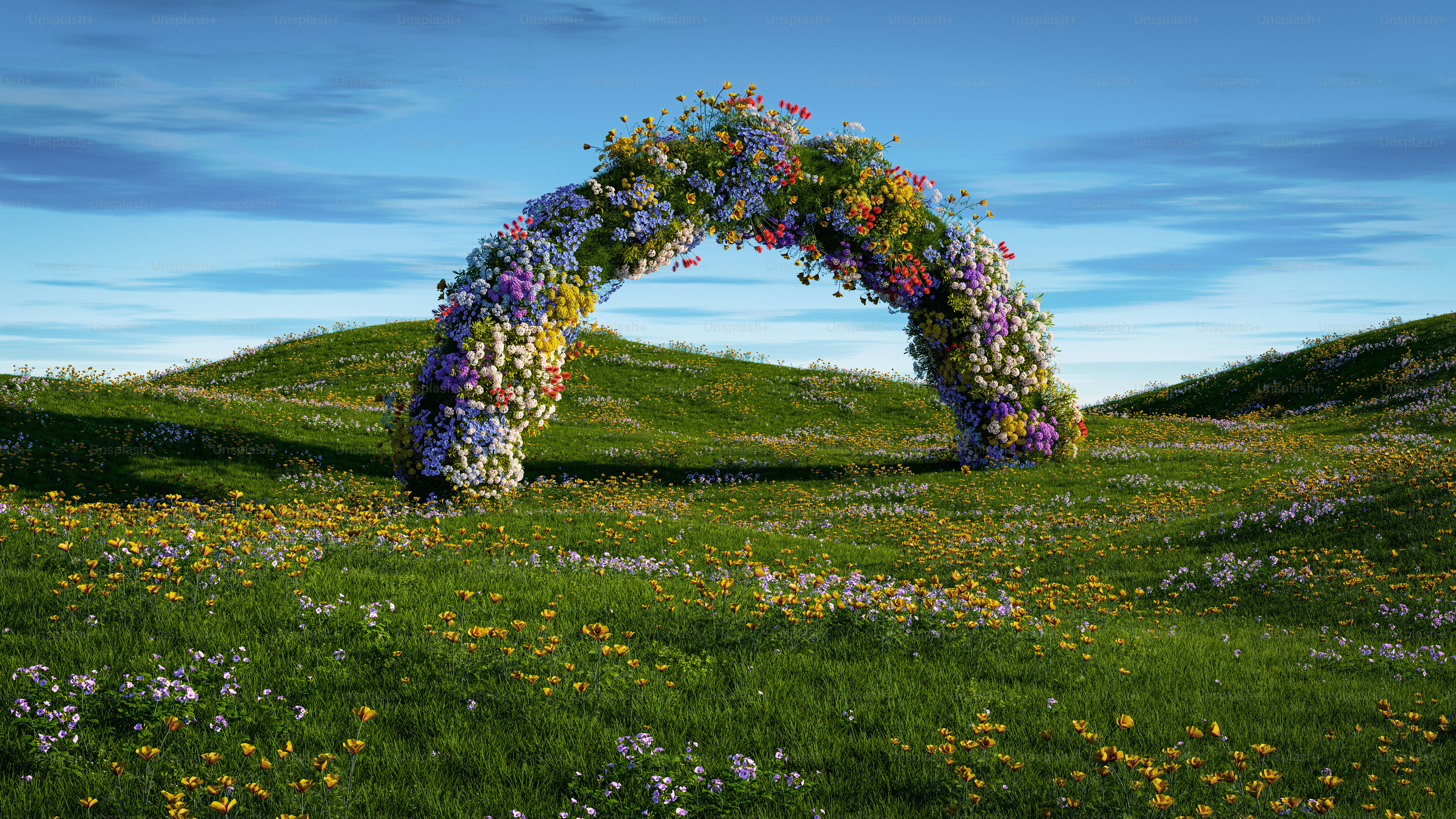 An arch made out of flowers in a field photo – Nature Image on Unsplash