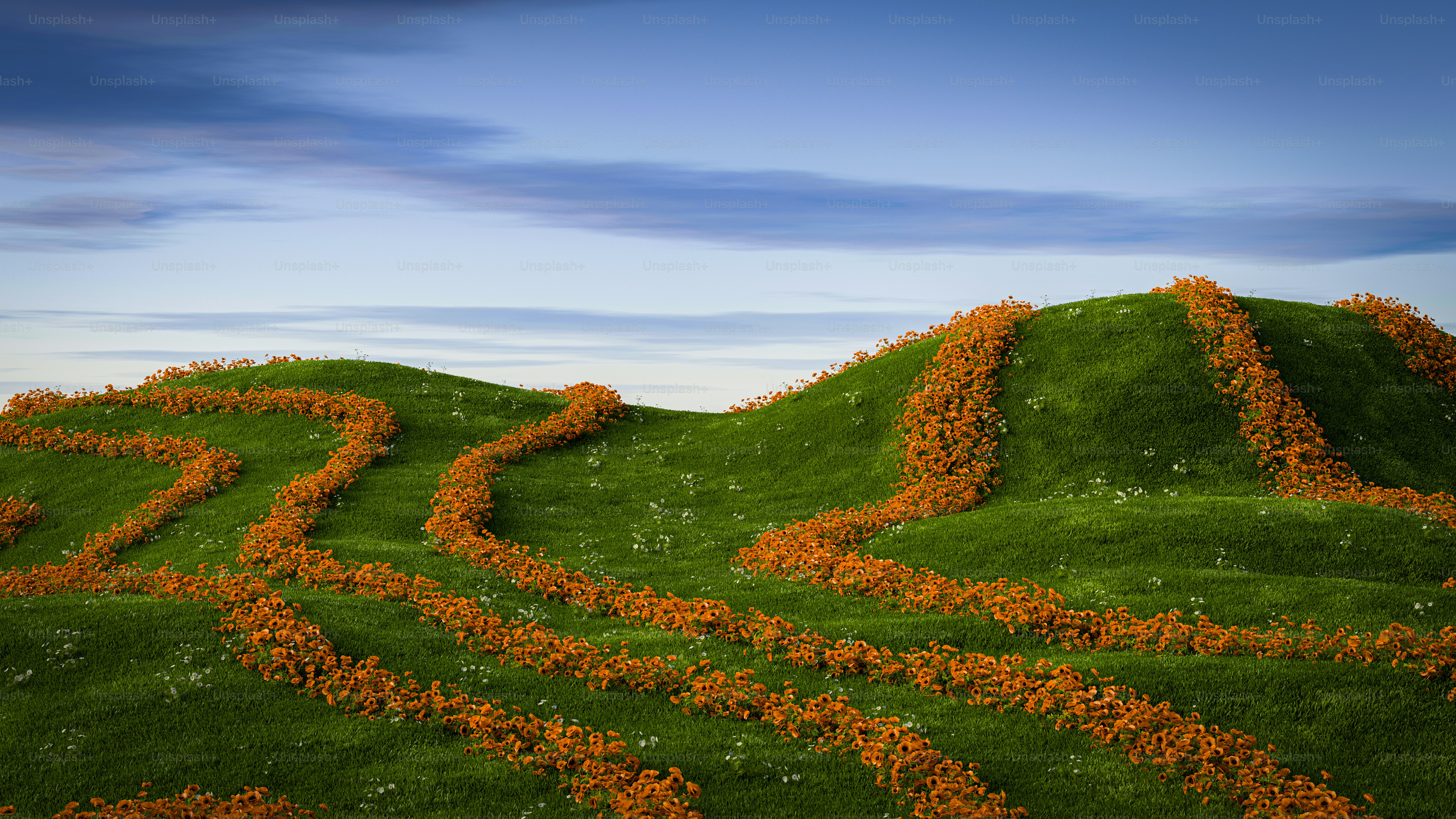 A green hill covered in purple flowers under a blue sky photo – Flowers ...
