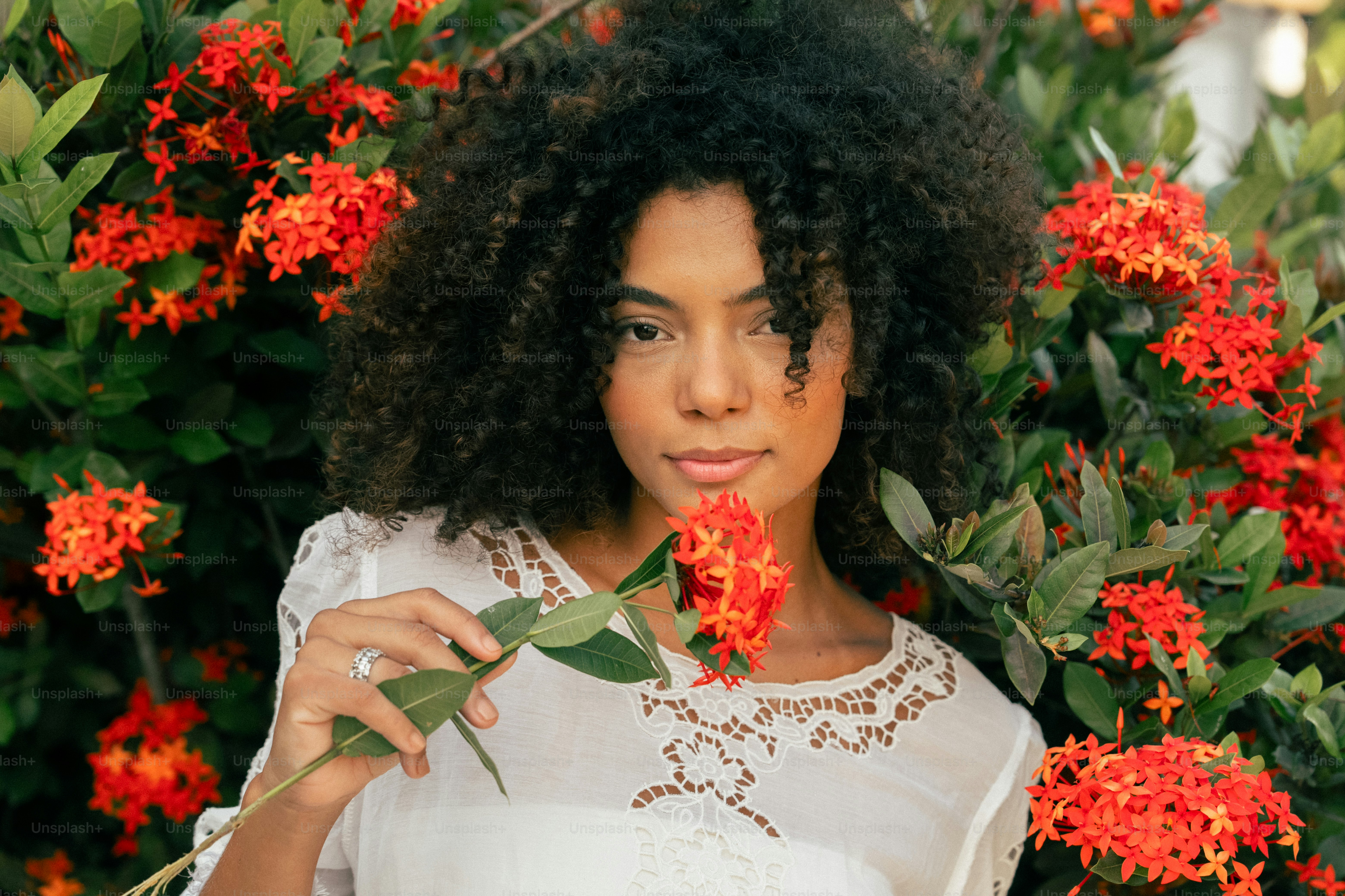 A woman holding a flower in front of a bush photo – Woman Image on Unsplash