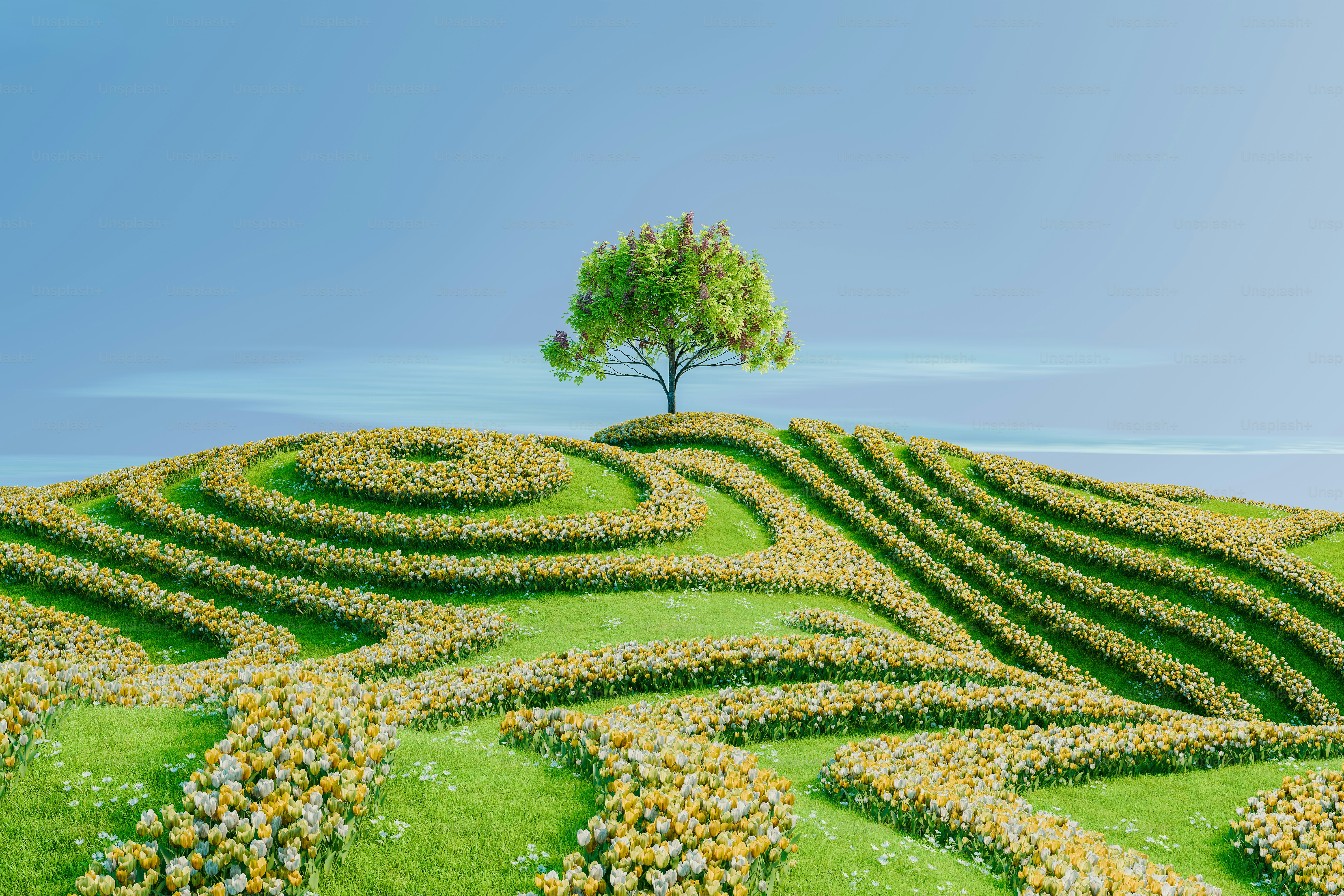 A tree in the middle of a maze photo – Wildflowers Image on Unsplash