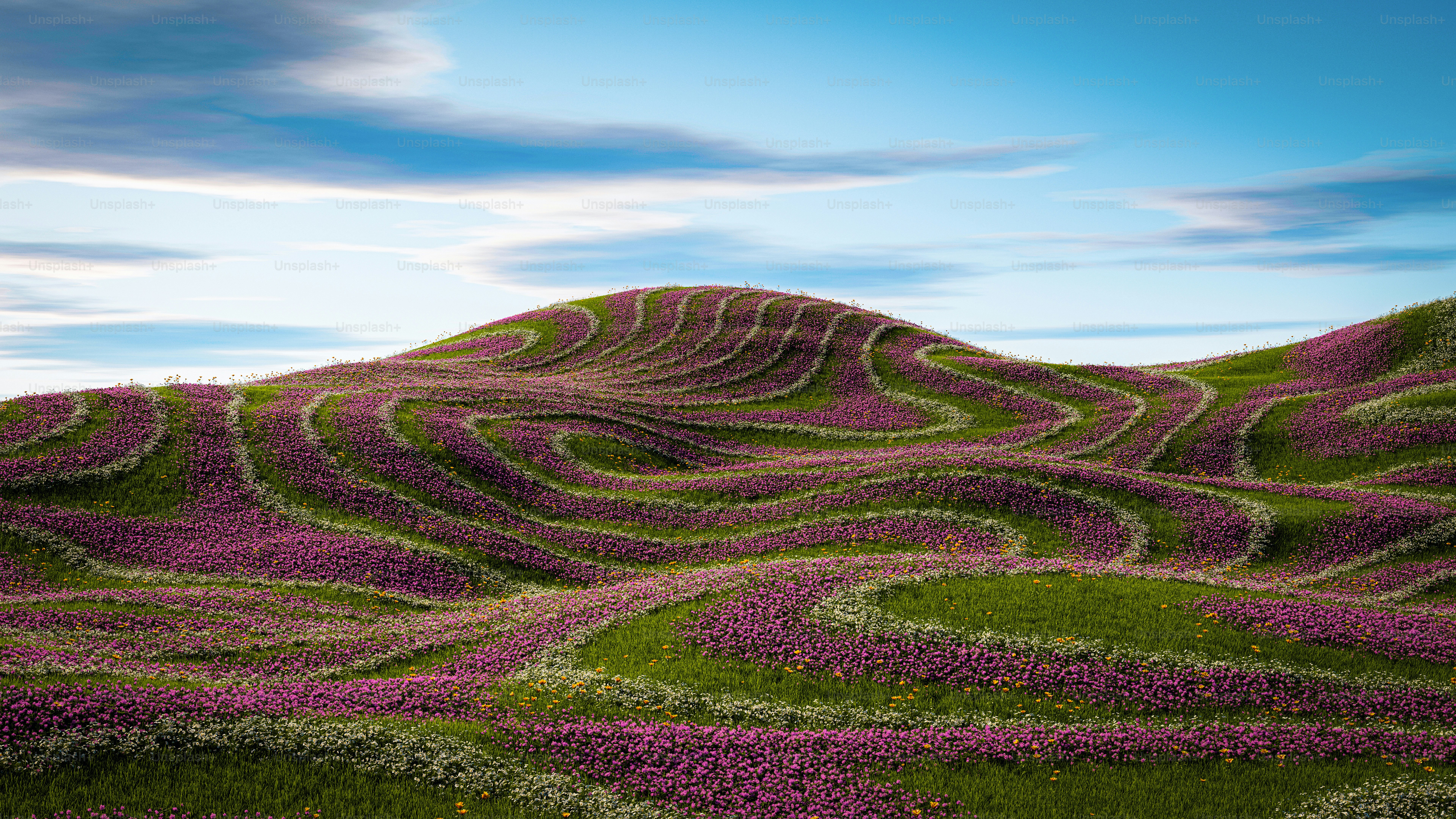 Una collina coperta di fiori viola sotto un cielo azzurro foto ...