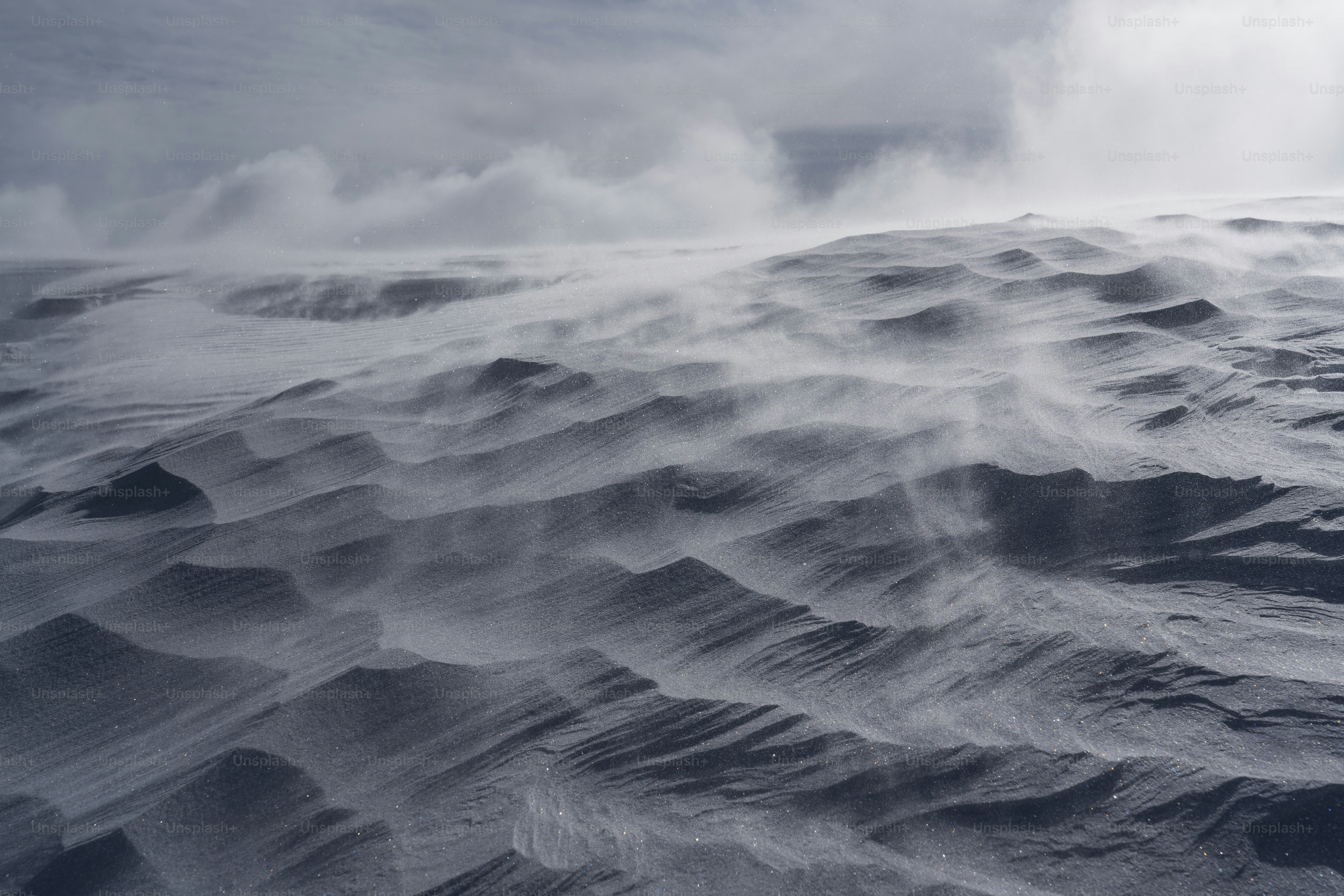 1000+ Windy Pictures | Download Free Images on Unsplash