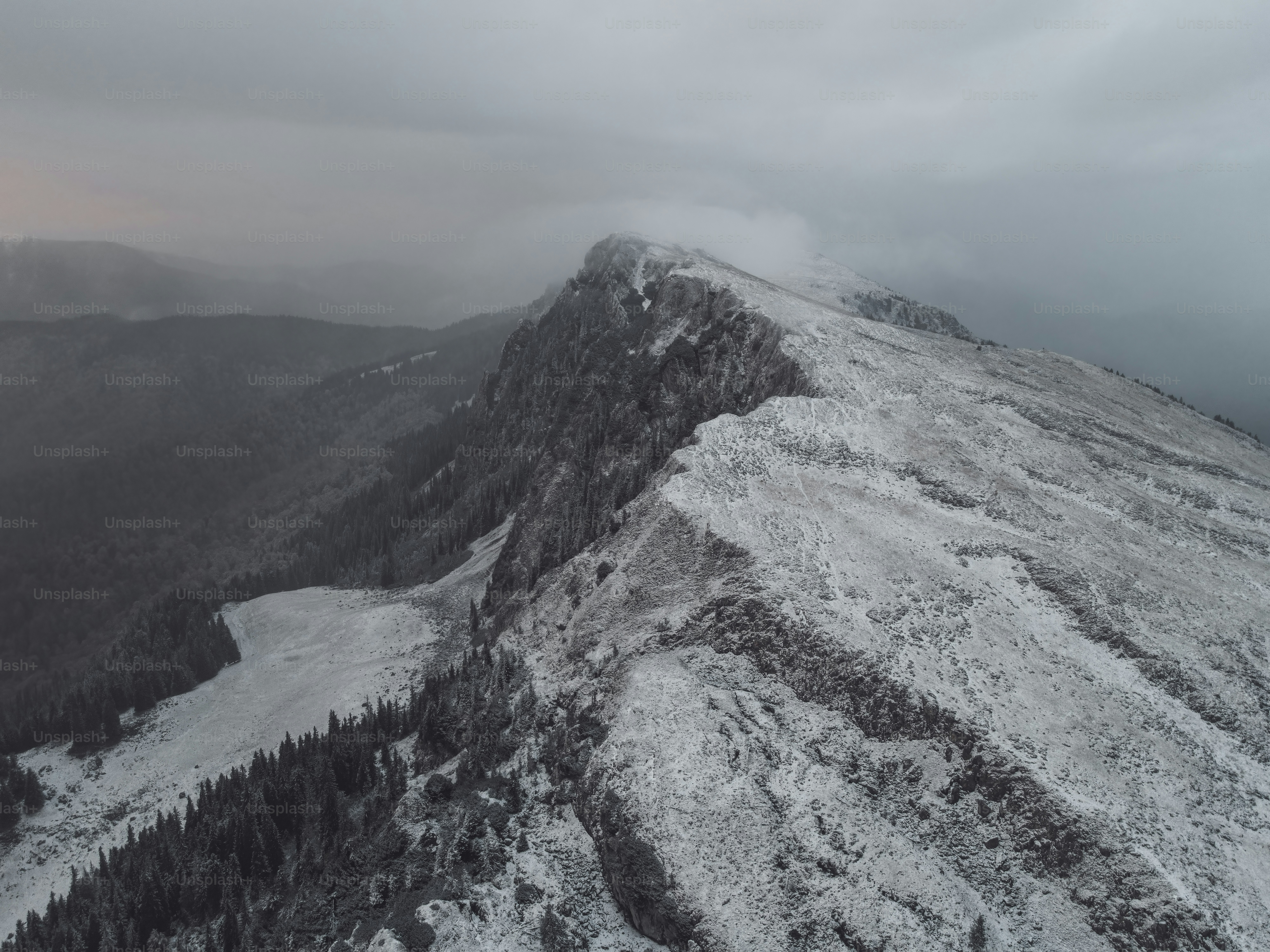 Daniel Mirlea (@danielmirlea) | Unsplash Photo Community