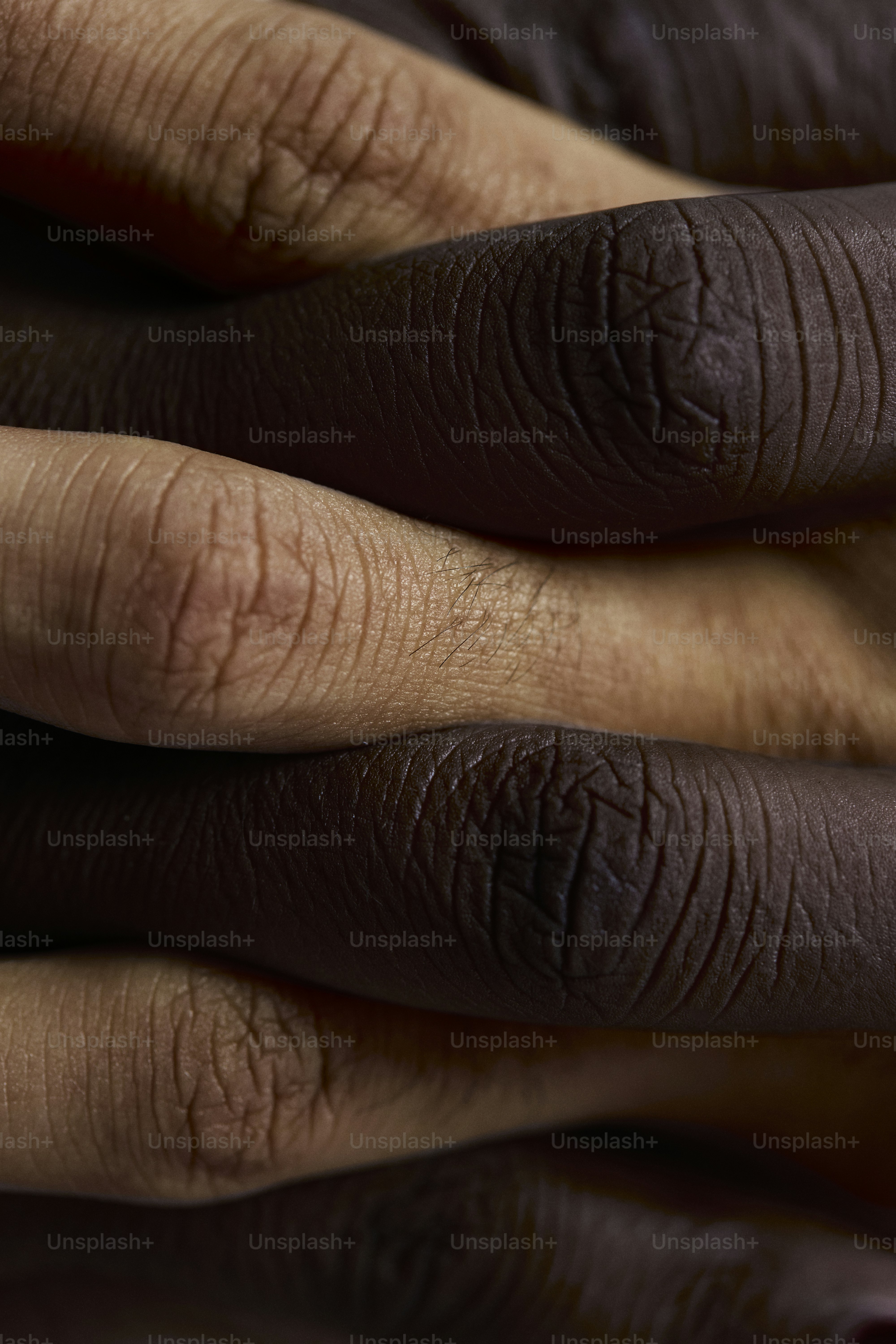 White Skin Pictures | Download Free Images on Unsplash