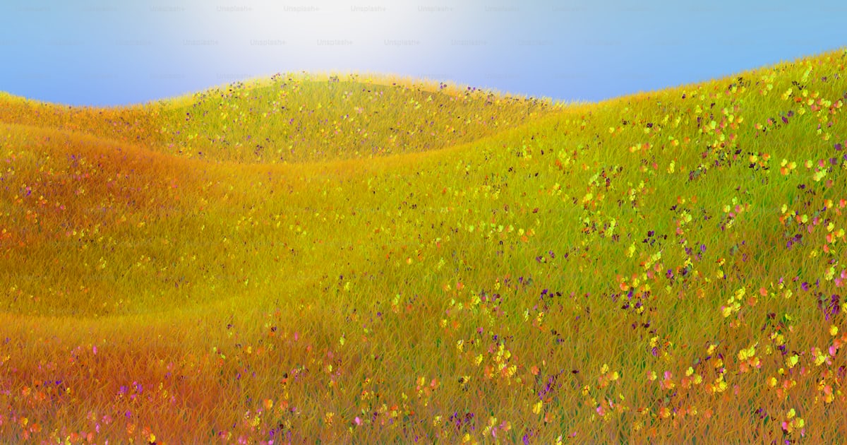 태양을 배경으로 풀밭 그림 사진 Unsplash의 봄 풍경 이미지